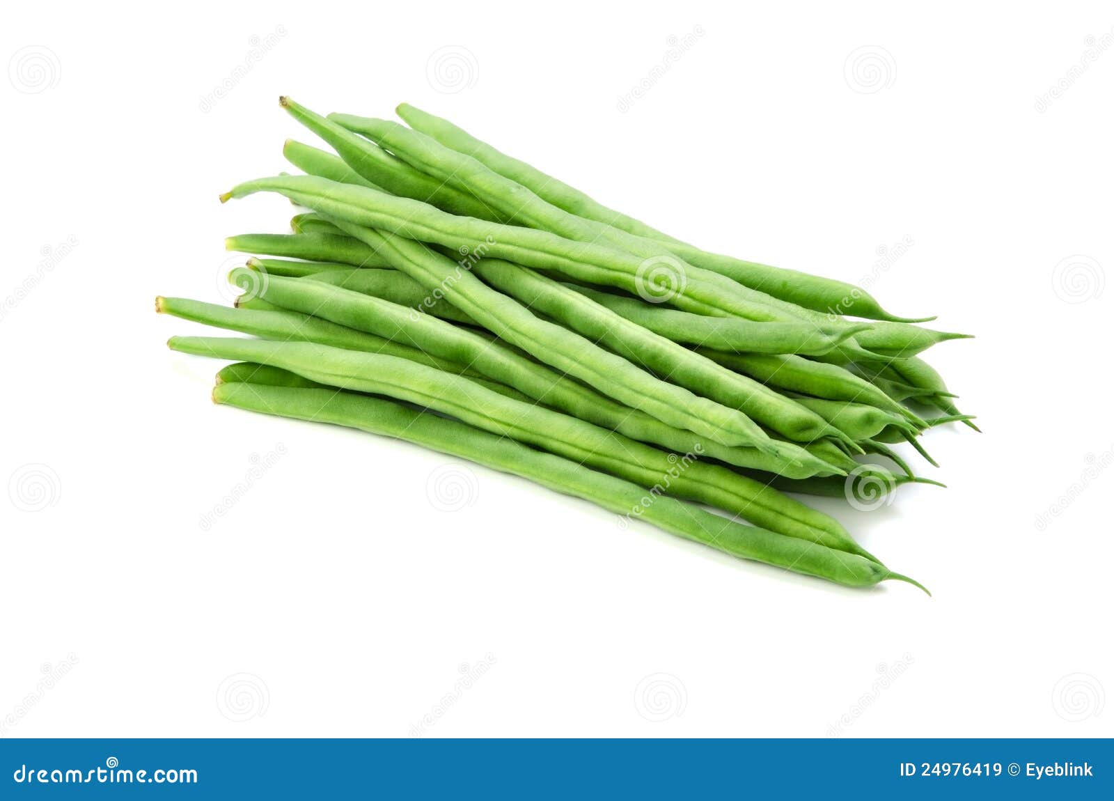Common bean stock image. Image of common, fresh, diet - 24976419