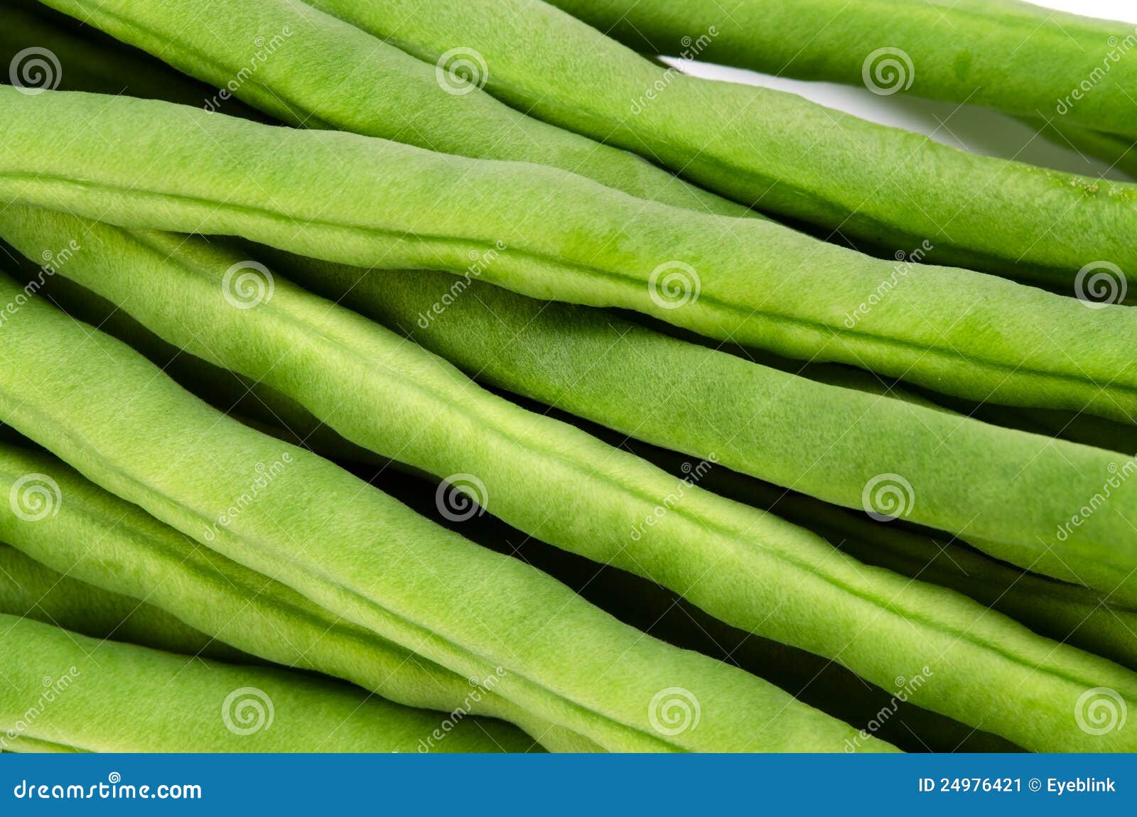 Common Bean And Few Plants Of Atriplex Hortensis Known As Orache ...