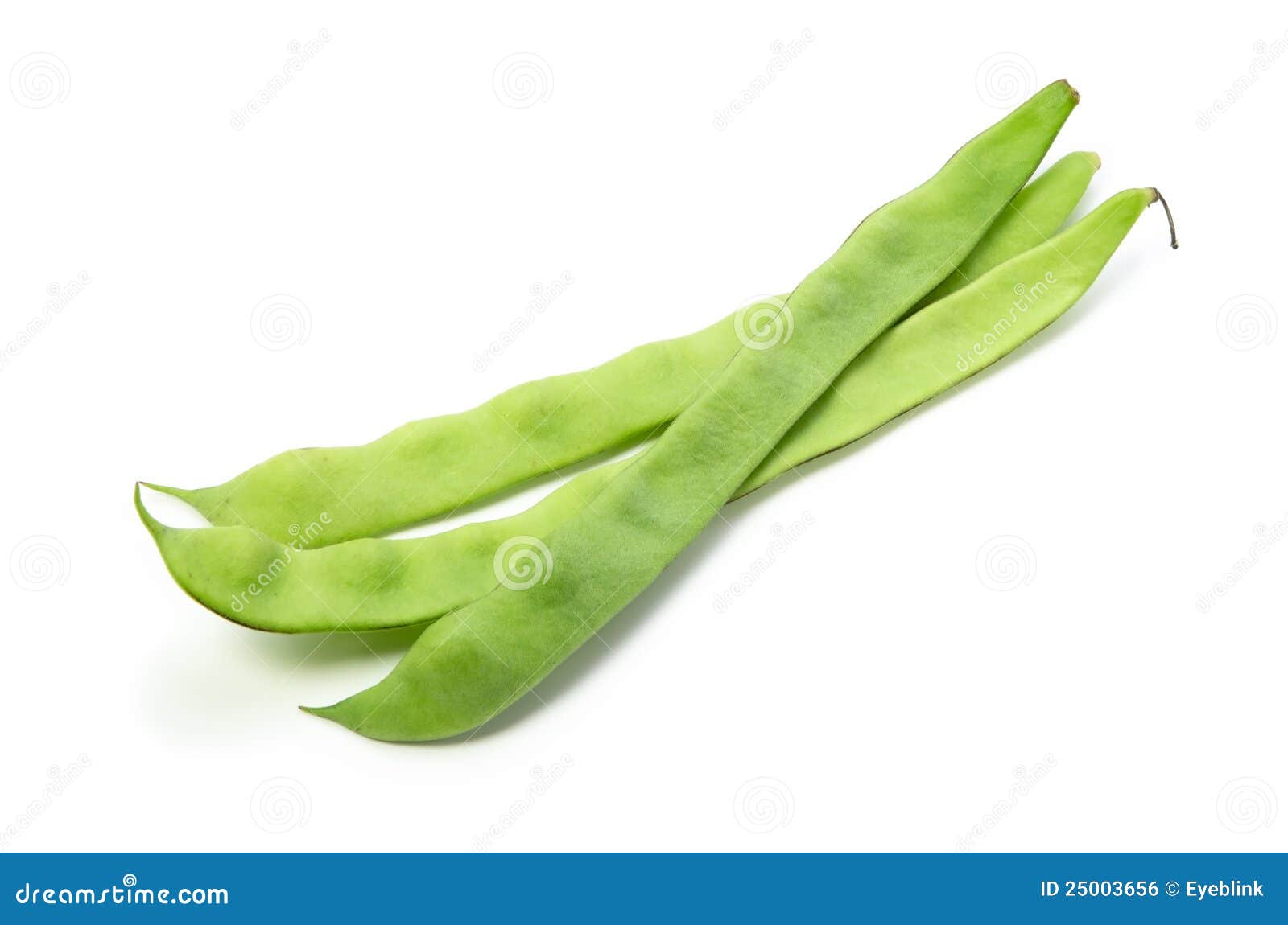 Common bean stock photo. Image of garden, common, eating - 25003656