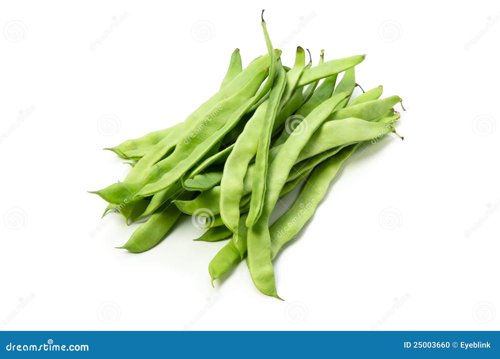 Common bean stock photo. Image of health, vegetable, bean - 25003660