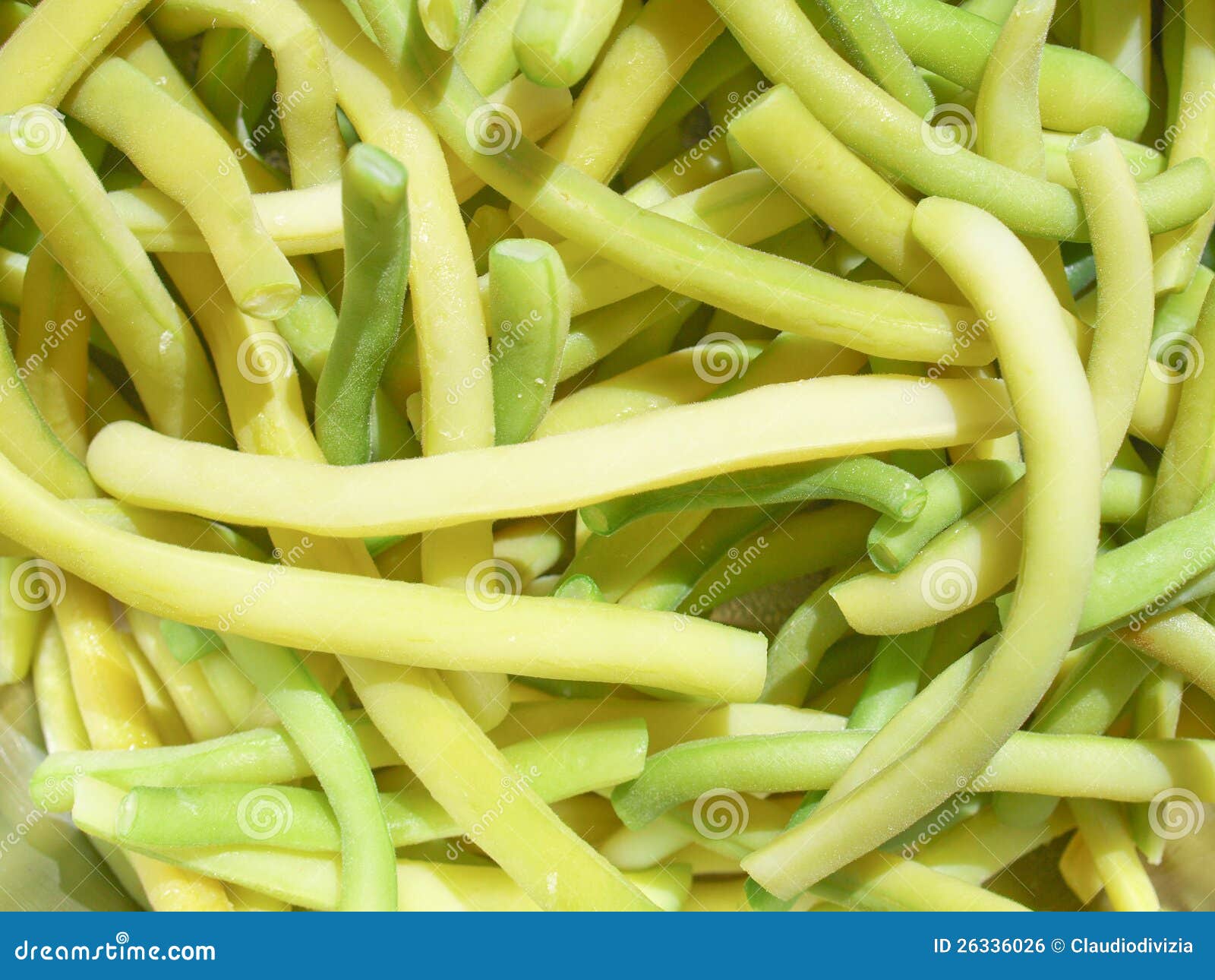 Common bean stock photo. Image of vulgaris, bean, common - 26336026
