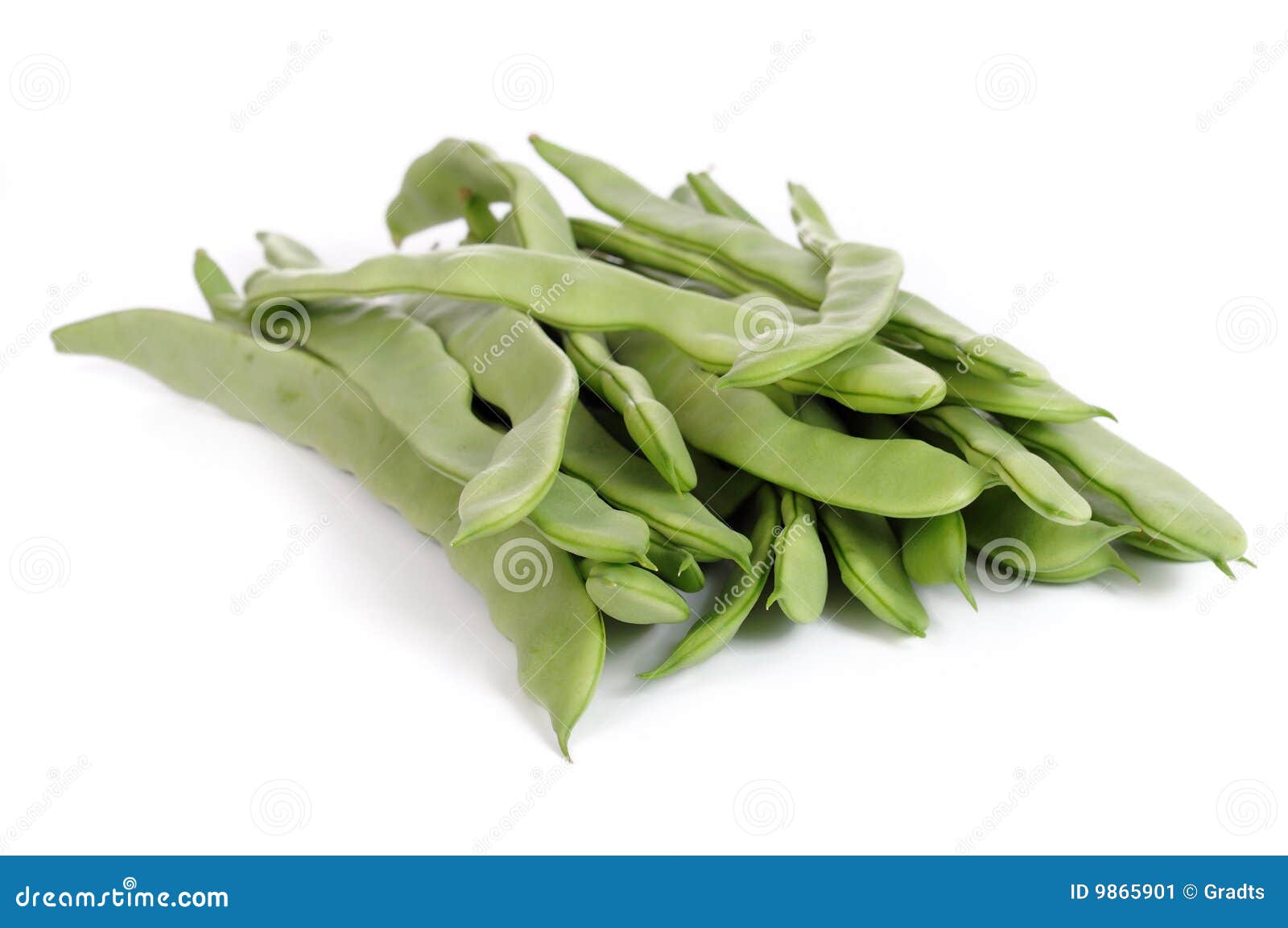 Common bean stock image. Image of green, white, studio - 9865901