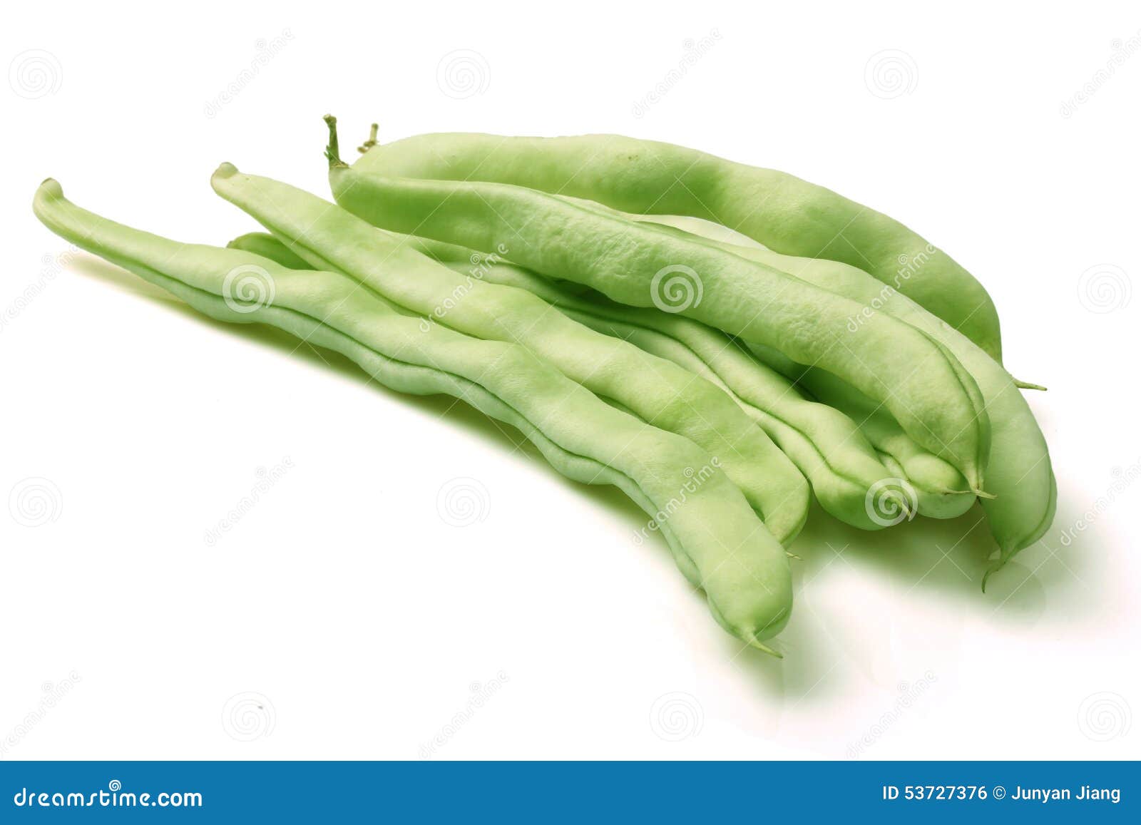 Common bean stock photo. Image of health, closeup, green - 53727376