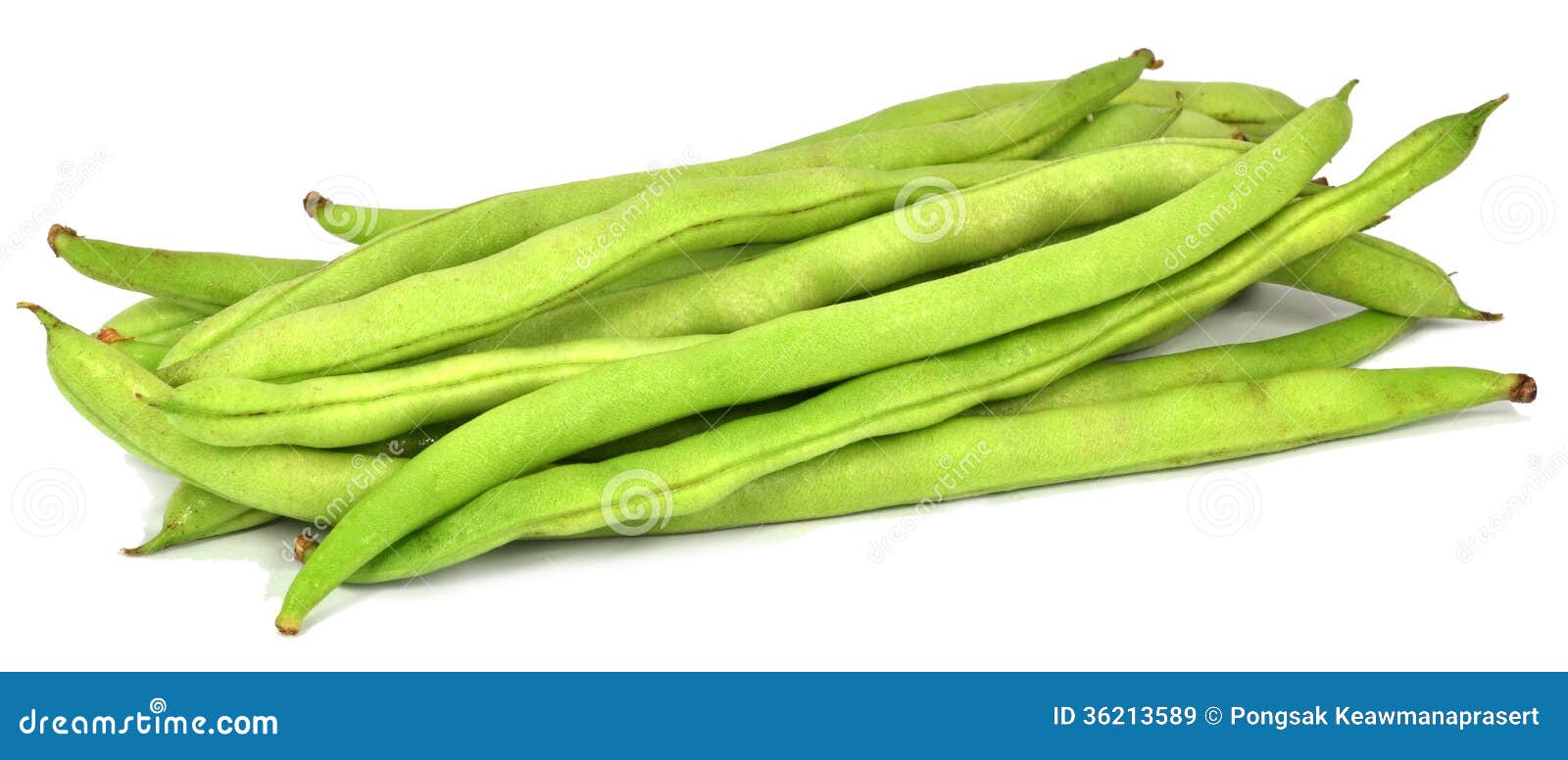 Common bean stock image. Image of green, health, meal - 36213589