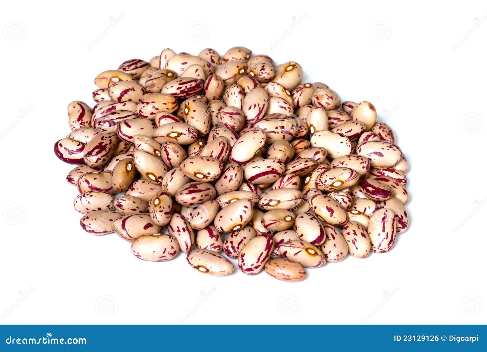 Common beans stock photo. Image of nutrition, macro, dietary - 23129126