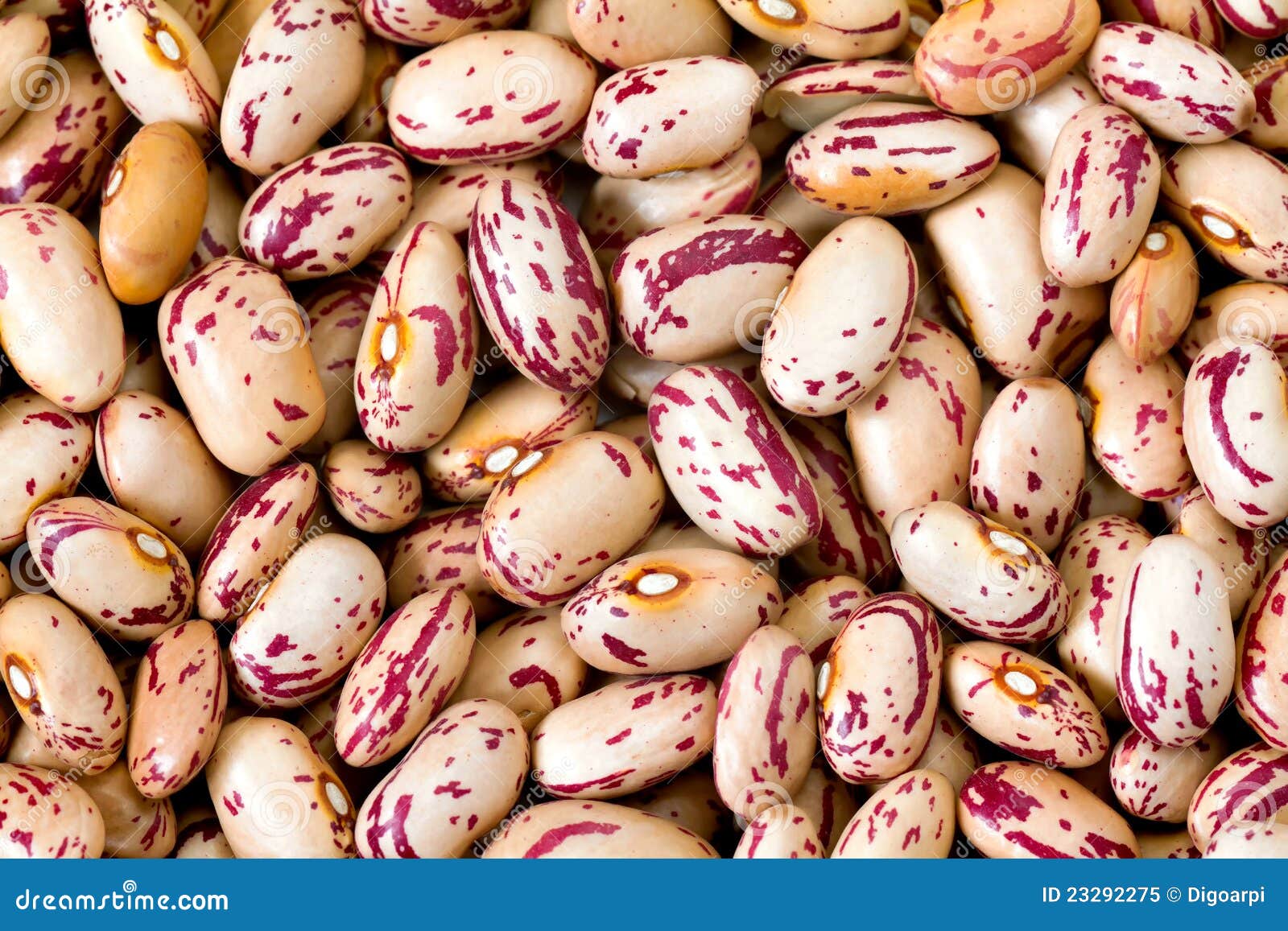 Common beans stock image. Image of group, ingredient - 23292275