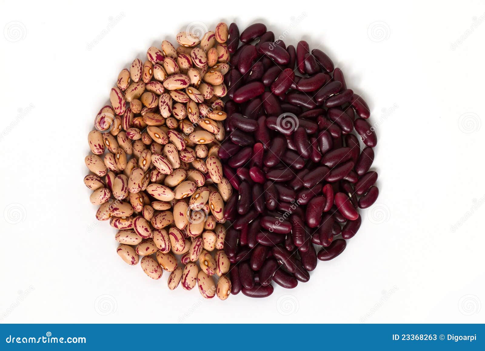 Common beans stock image. Image of crop, recipe, natural - 23368263