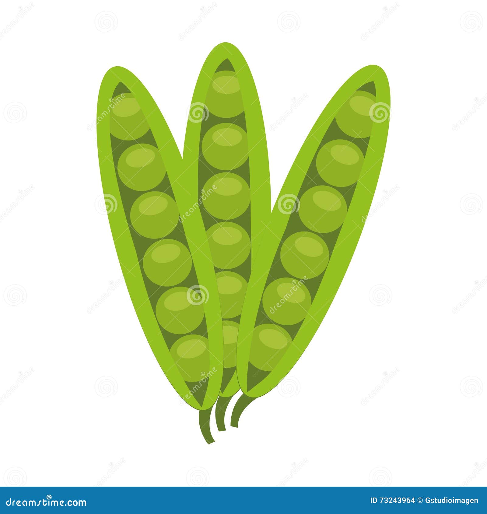 Common Beans Front View, Graphic Stock Illustration - Illustration of ...