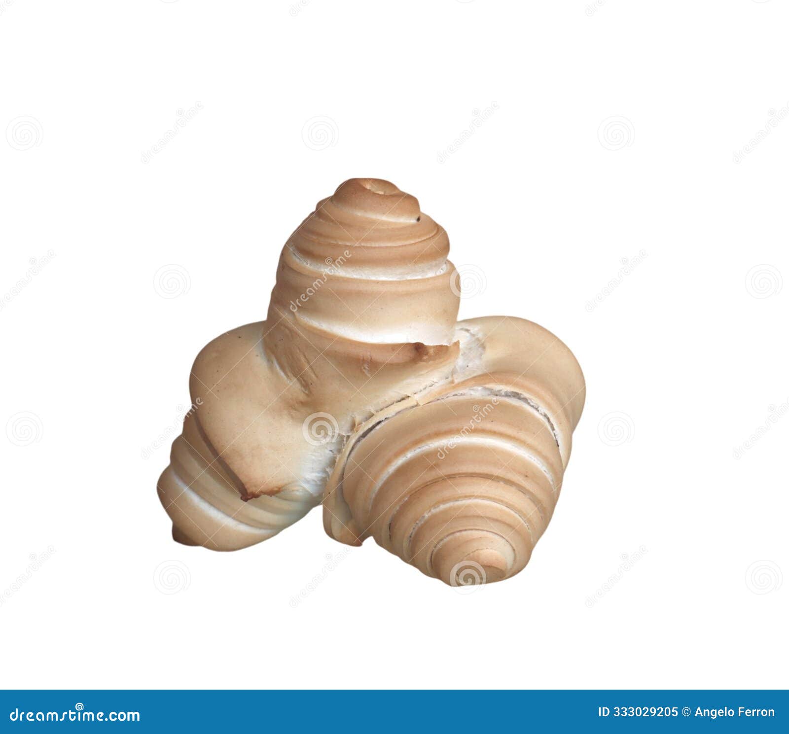 Common Bread of Various Shapes Worked by an Expert Baker- Stock ...