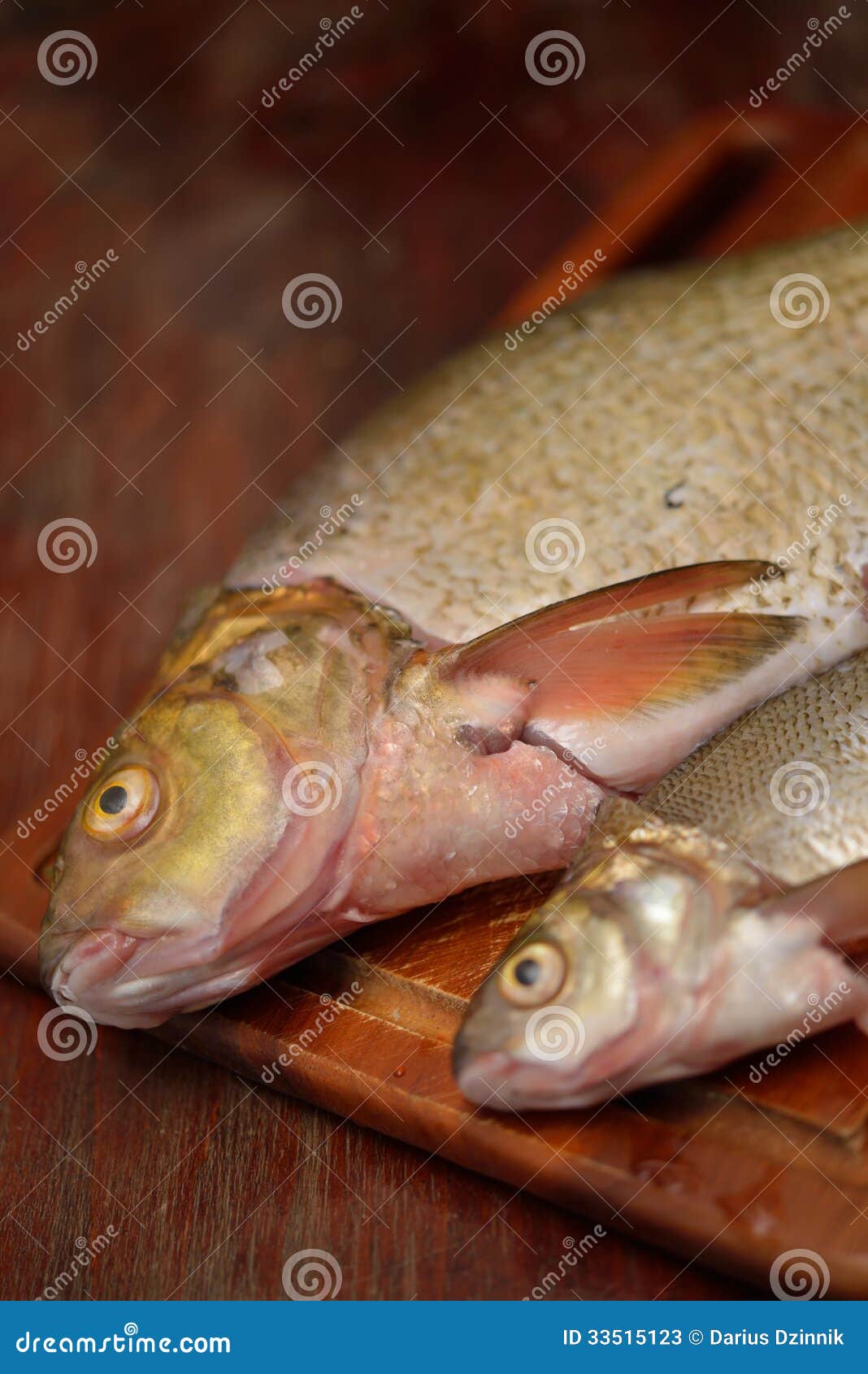 Common bream stock image. Image of food, fishing, ingredient - 33515123