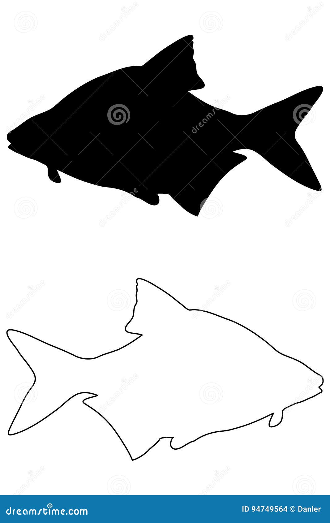 Common Bream Silhouette Vector Stock Vector - Illustration of biology ...