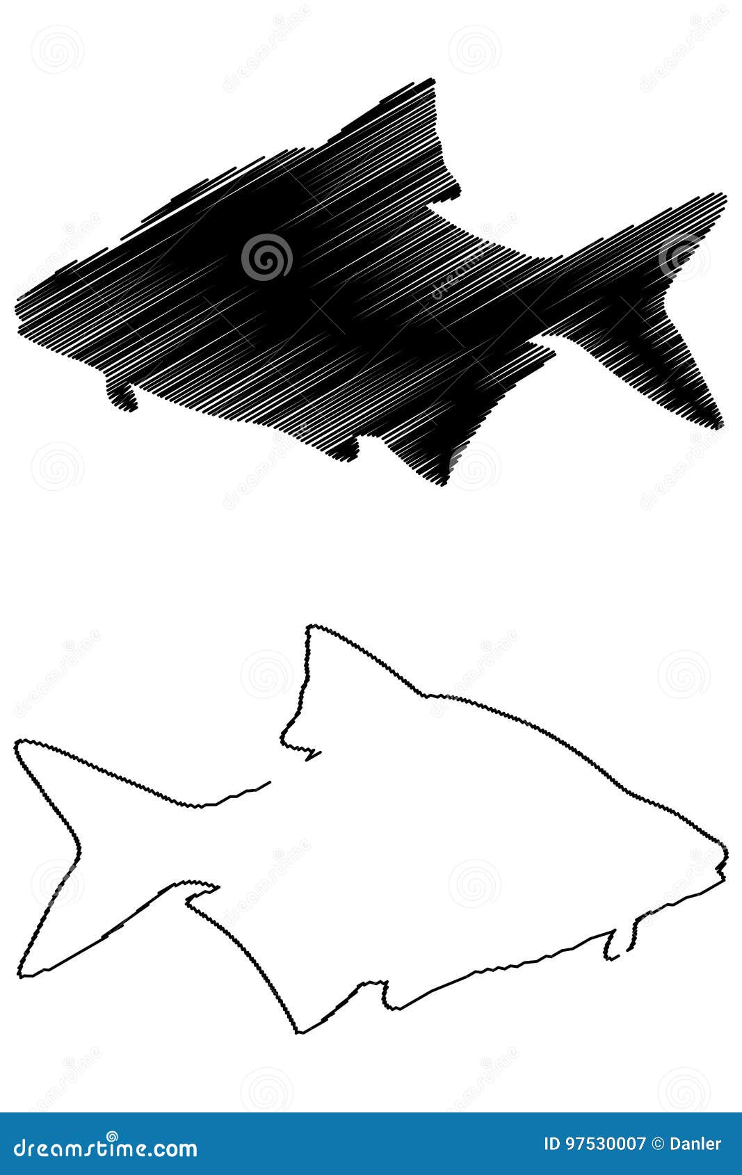 Common Bream Silhouette Vector Stock Vector - Illustration of seafood ...