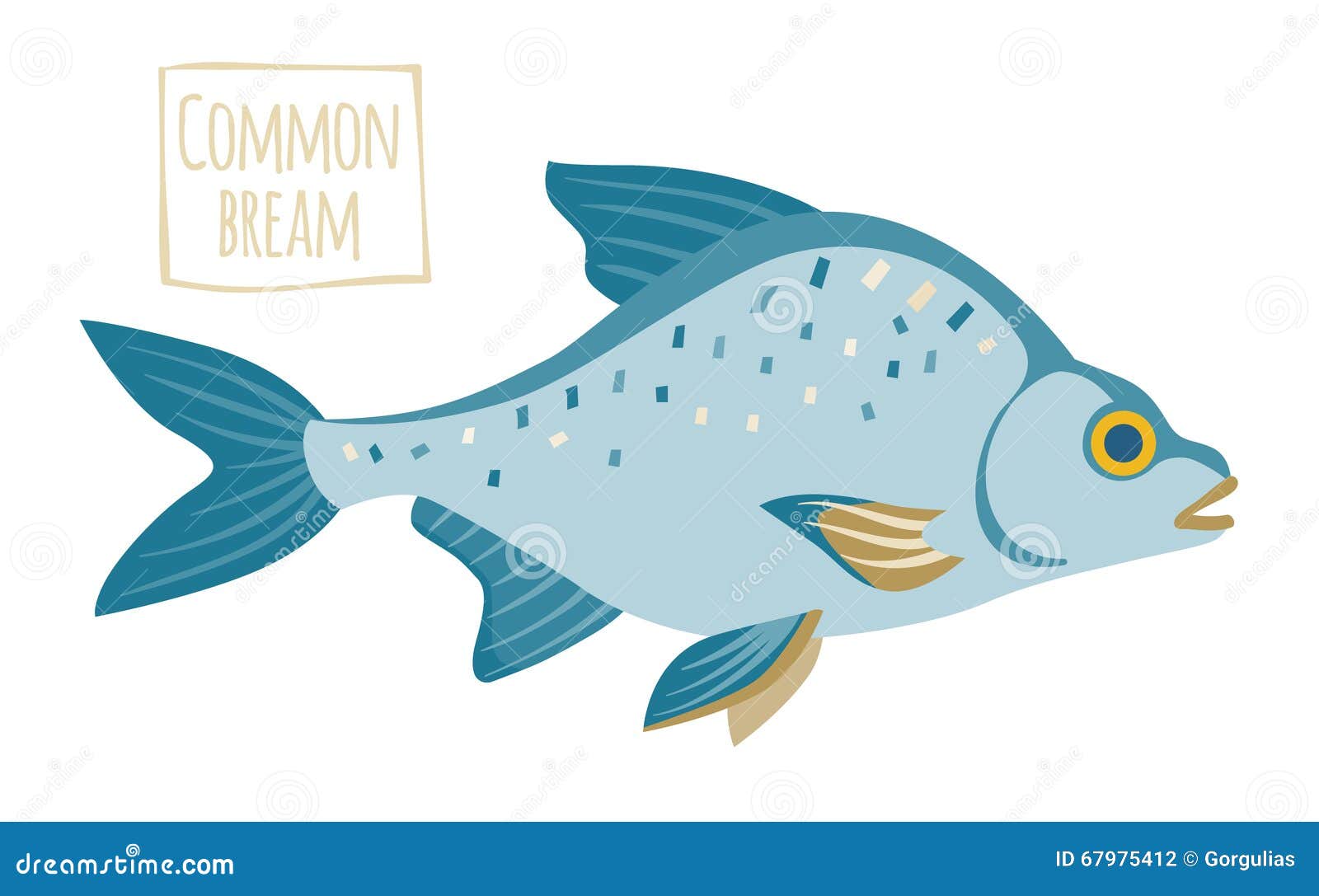 Red Sea Bream Vector Sketch Illustration Clip-art | CartoonDealer.com ...