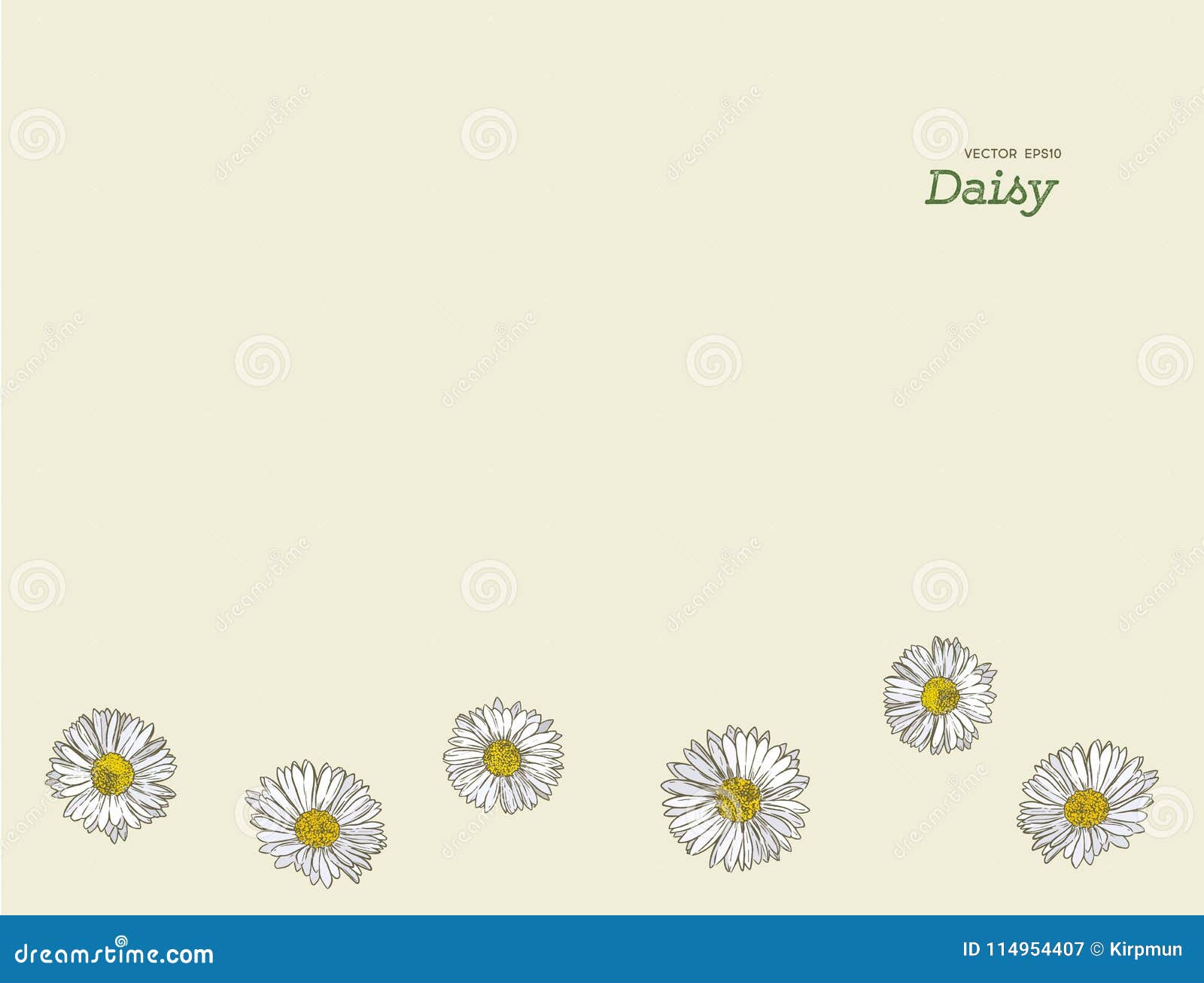 Daisy ,common Daisy . Hand Draw Sketch Vector. | CartoonDealer.com ...