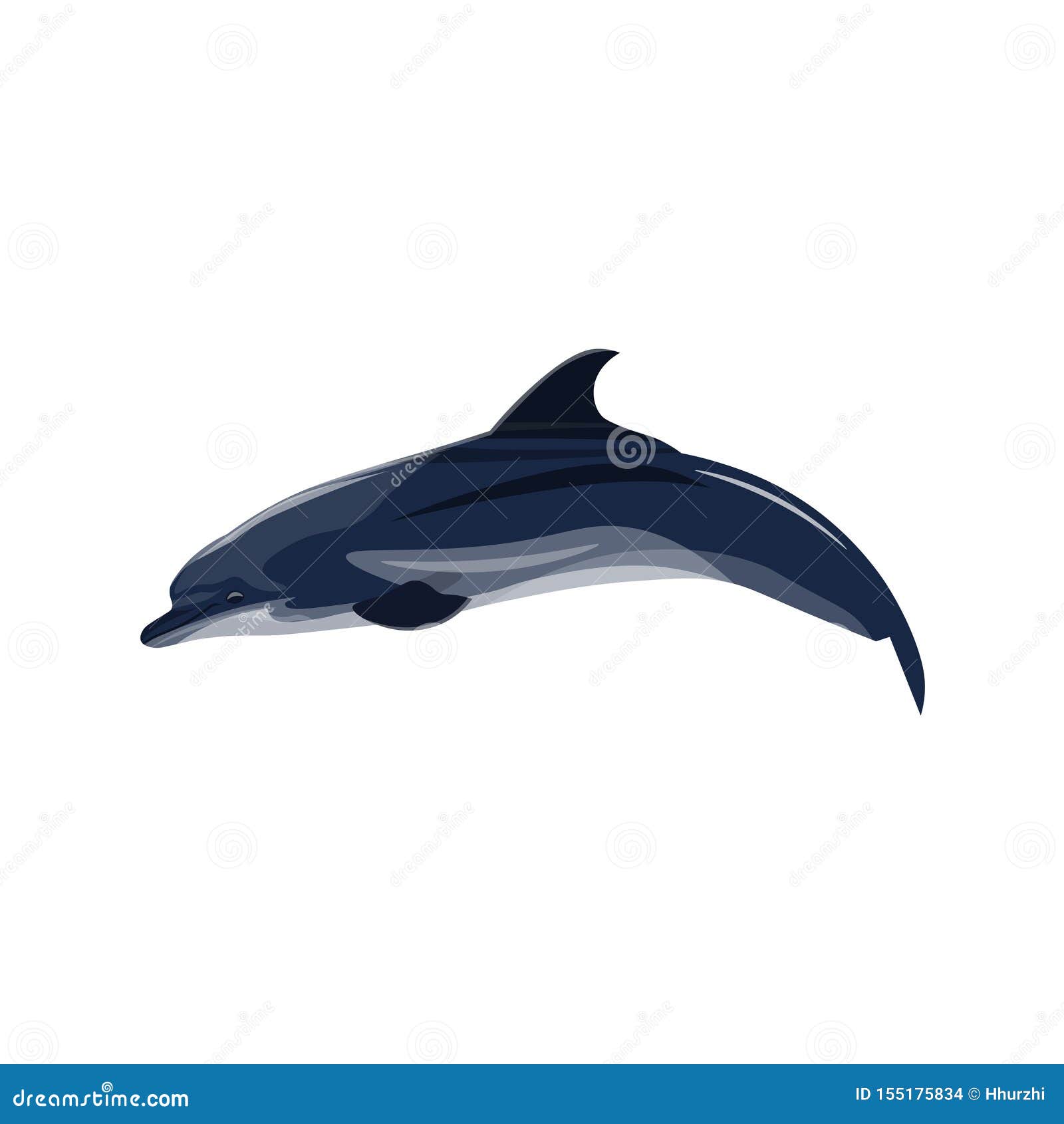 Common dolphin vector stock vector. Illustration of park - 155175834