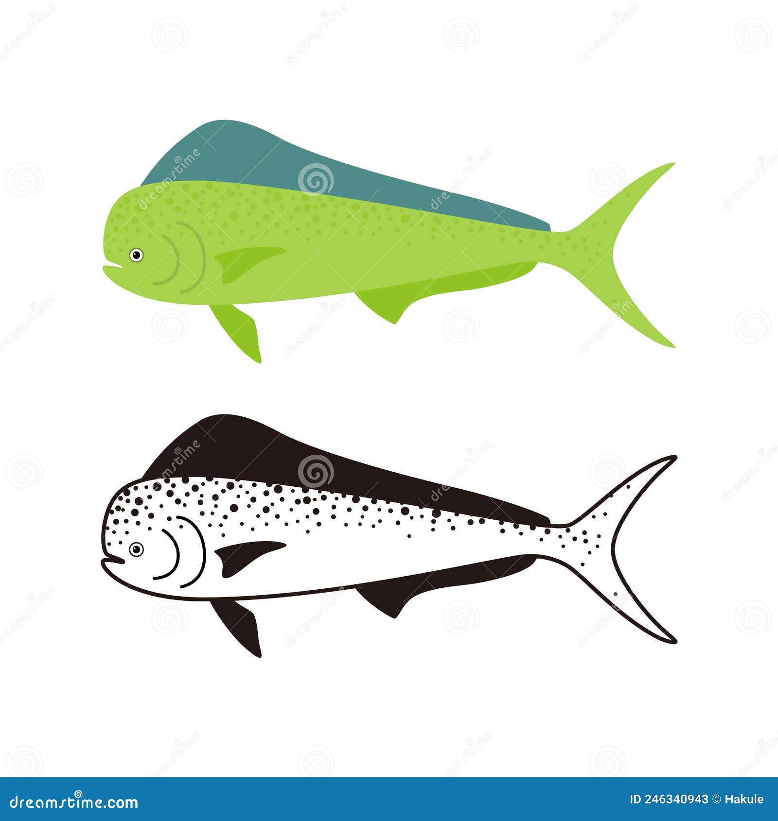 Common Dolphinfish, Dorado Fish, Vector Illustration Stock Vector ...