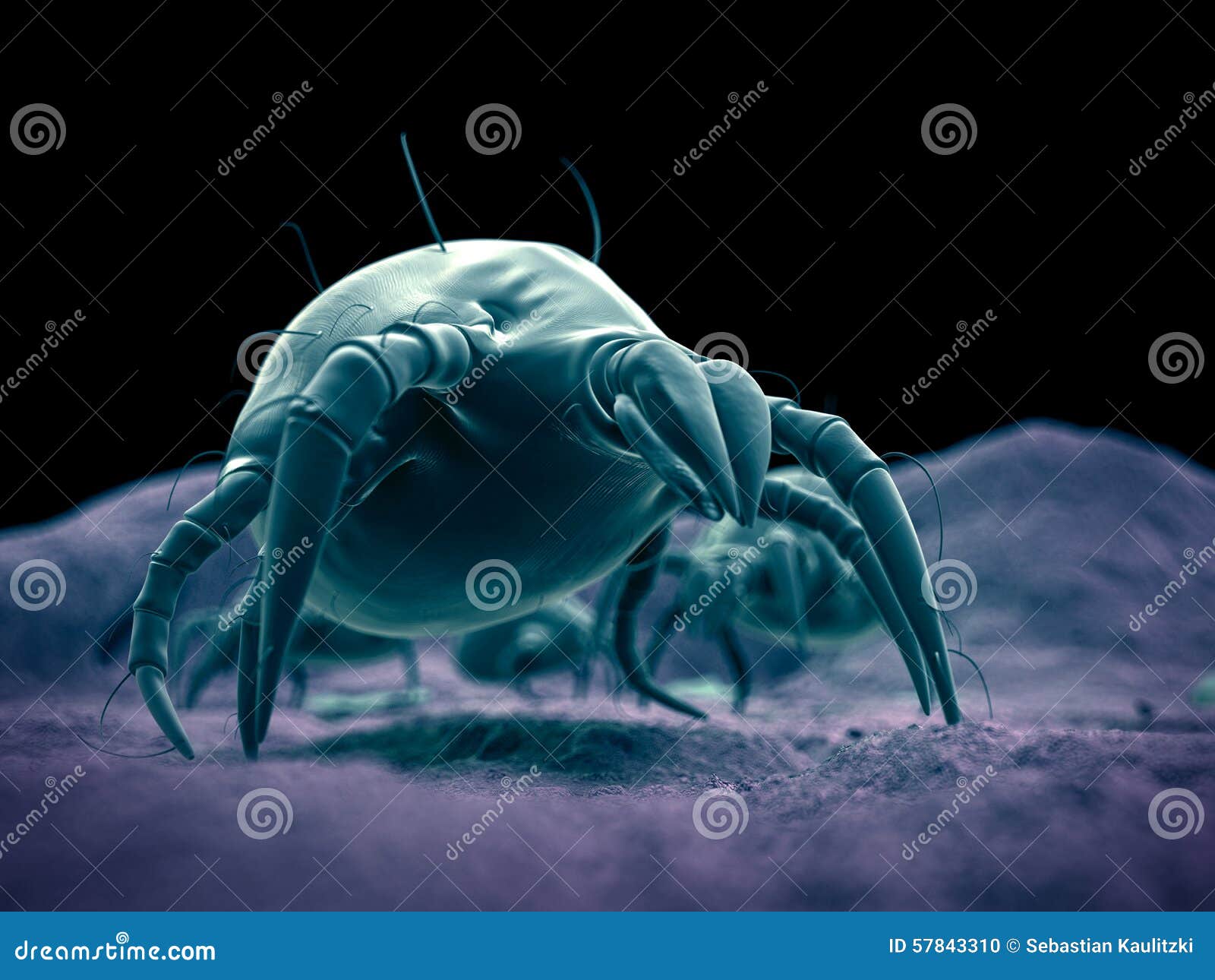 A common dust mite stock illustration. Illustration of sneeze - 57843310
