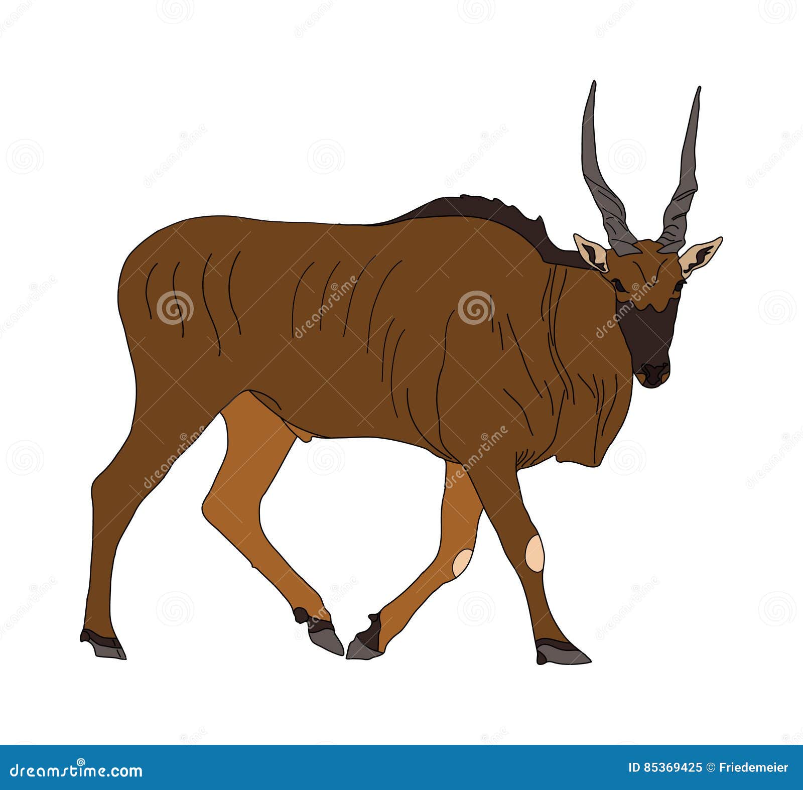 Eland Antelope - Silhouette Vector Illustration | CartoonDealer.com ...