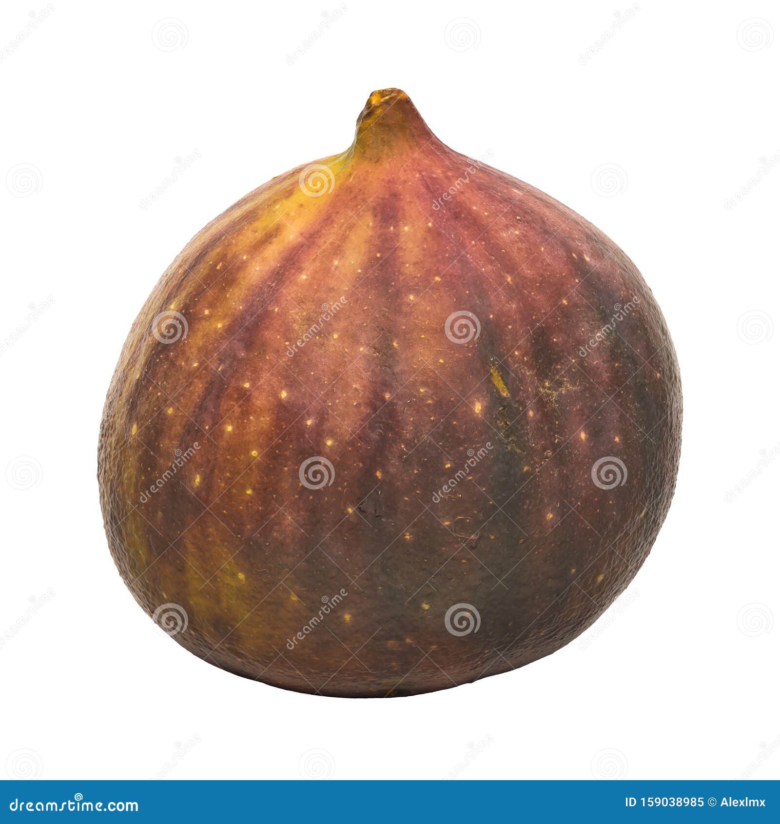Common Fig Close-up 3d Rendering with Realistic Texture Stock ...