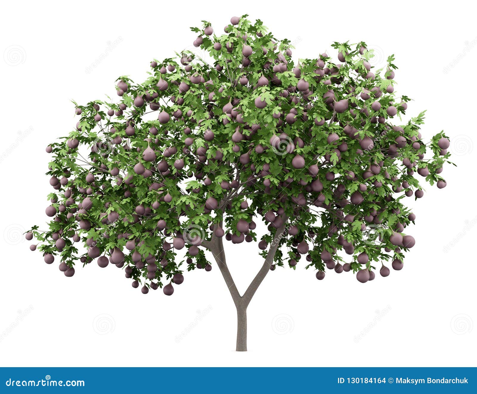 Figs Tree. Vector Graphic Sign. Art Line Symbol | CartoonDealer.com ...