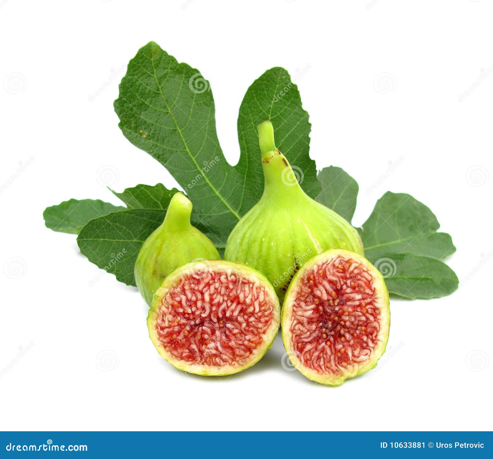 Common figs stock image. Image of isolated, tasty, bark - 10633881