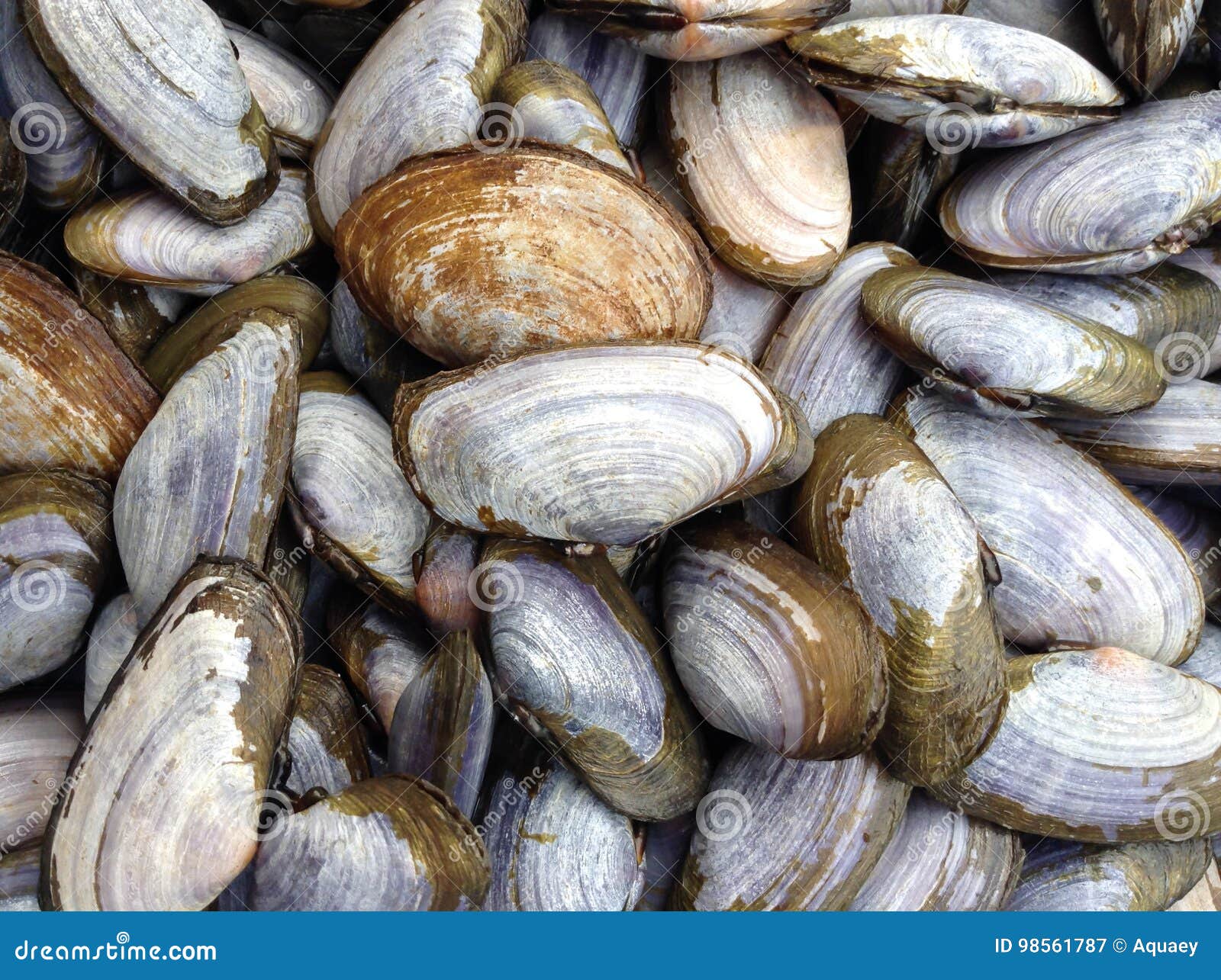 Diphos Stock Photos - Free & Royalty-Free Stock Photos from Dreamstime