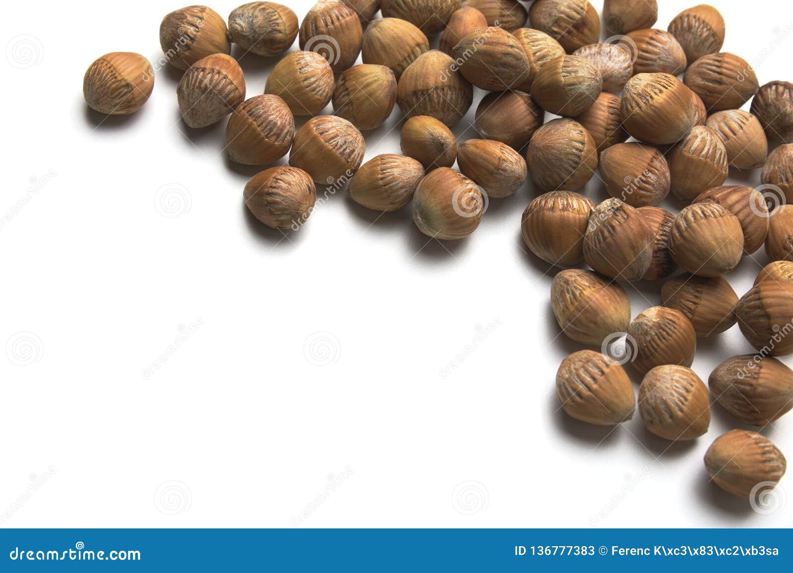 Common Hazel Cobnuts stock image. Image of group, clean - 136777383