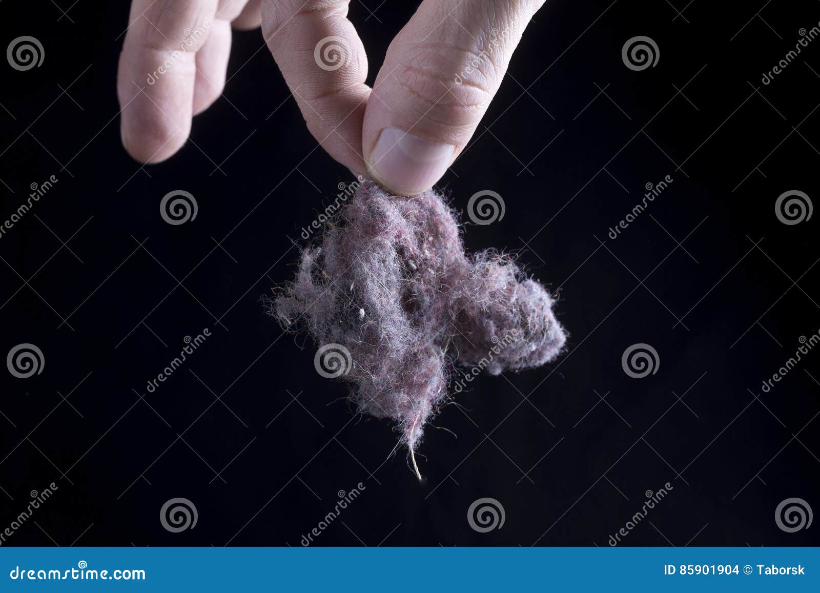 Common house dust stock photo. Image of dirt, allergic - 85901904
