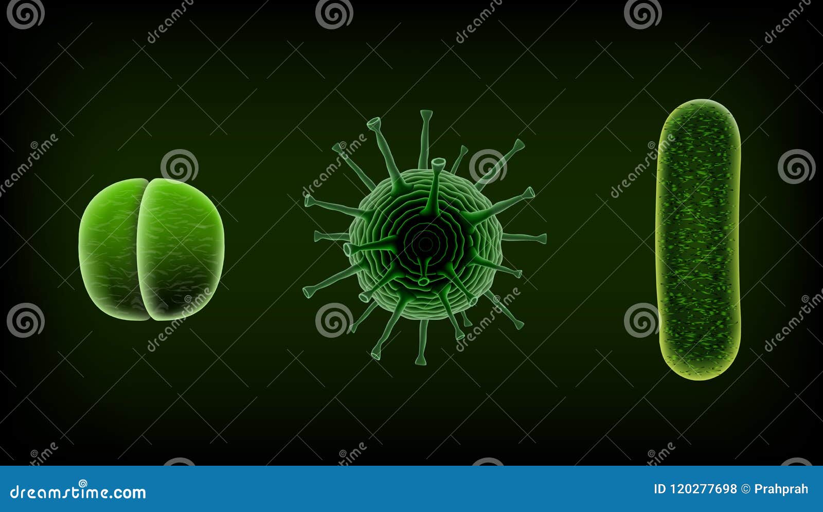 Common Human Virus or Bacteria Under a Microscope Close Up Stock Vector ...