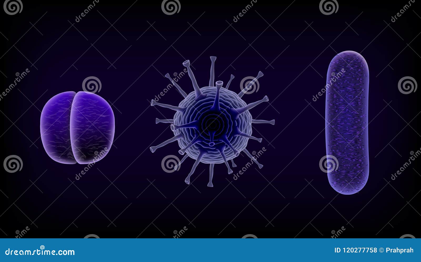 Common Human Virus or Bacteria Under a Microscope Close Up Stock Vector ...