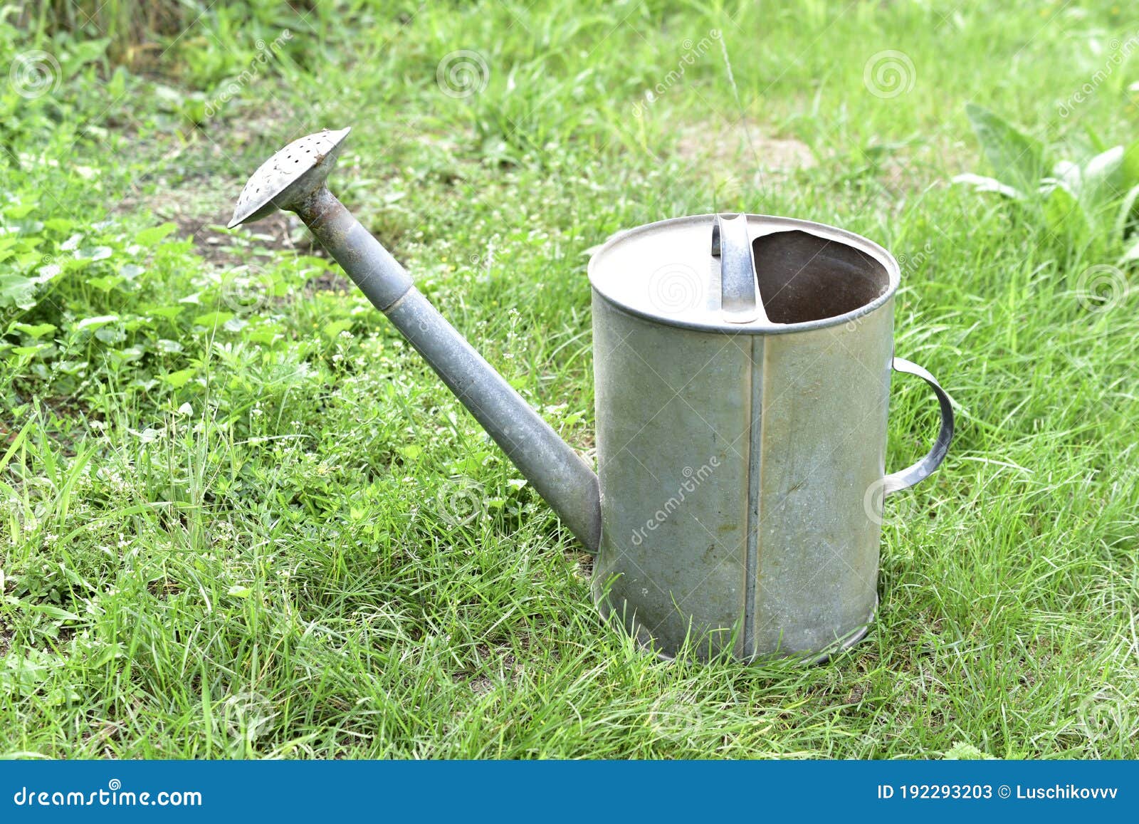 Watering Can Is The Simplest Tool For Drip Irrigation Of Plants And ...
