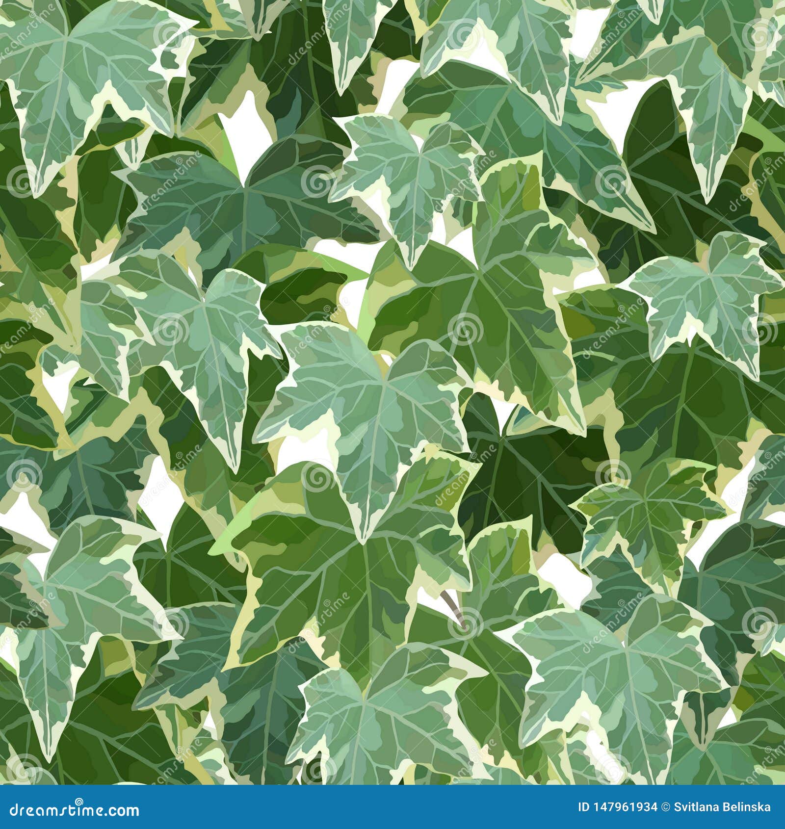 Common Ivy Green Seamless Pattern Vector Illustration Stock Vector ...