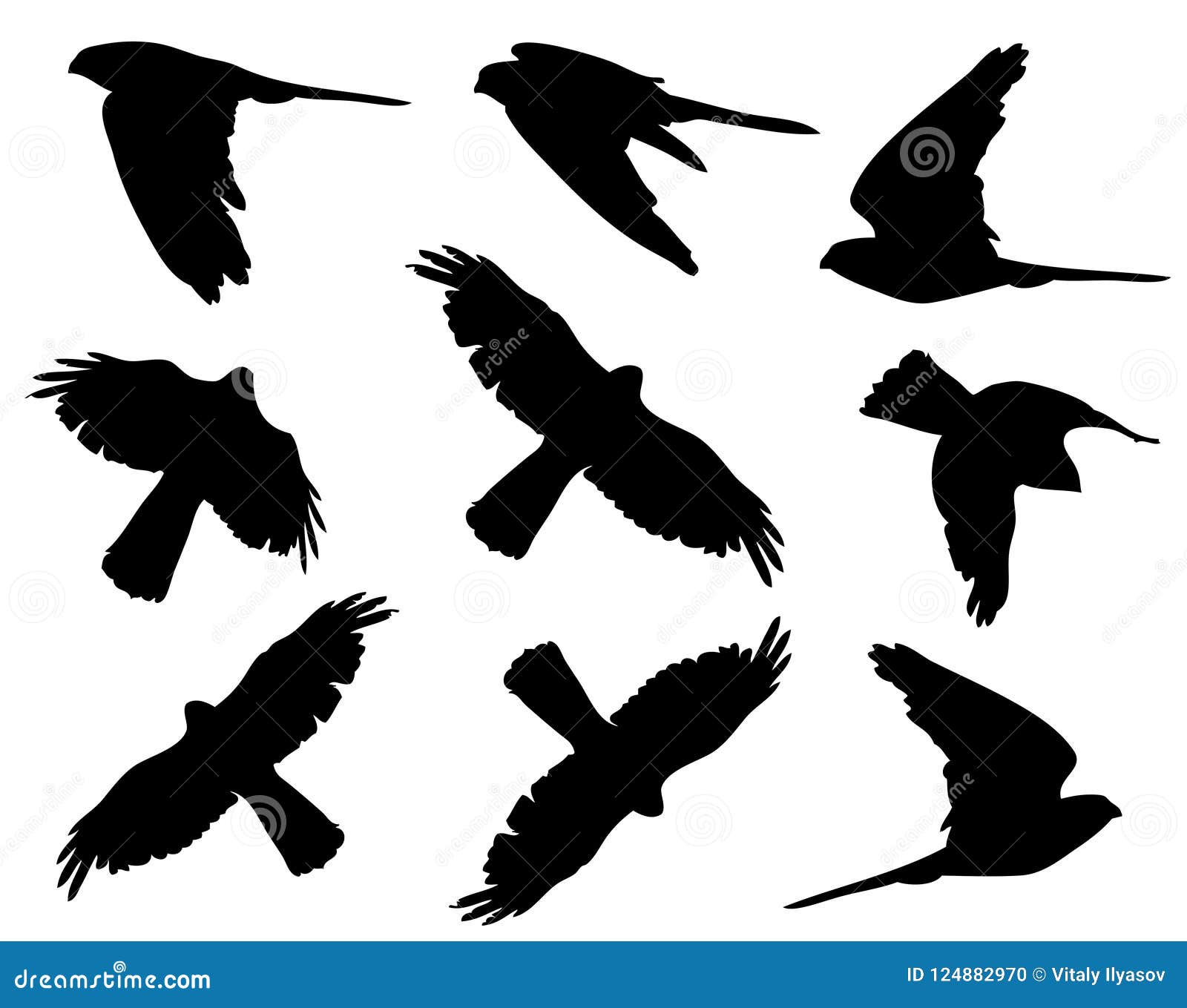 Kestrel Silhouette Logo Cartoon Vector | CartoonDealer.com #233074421