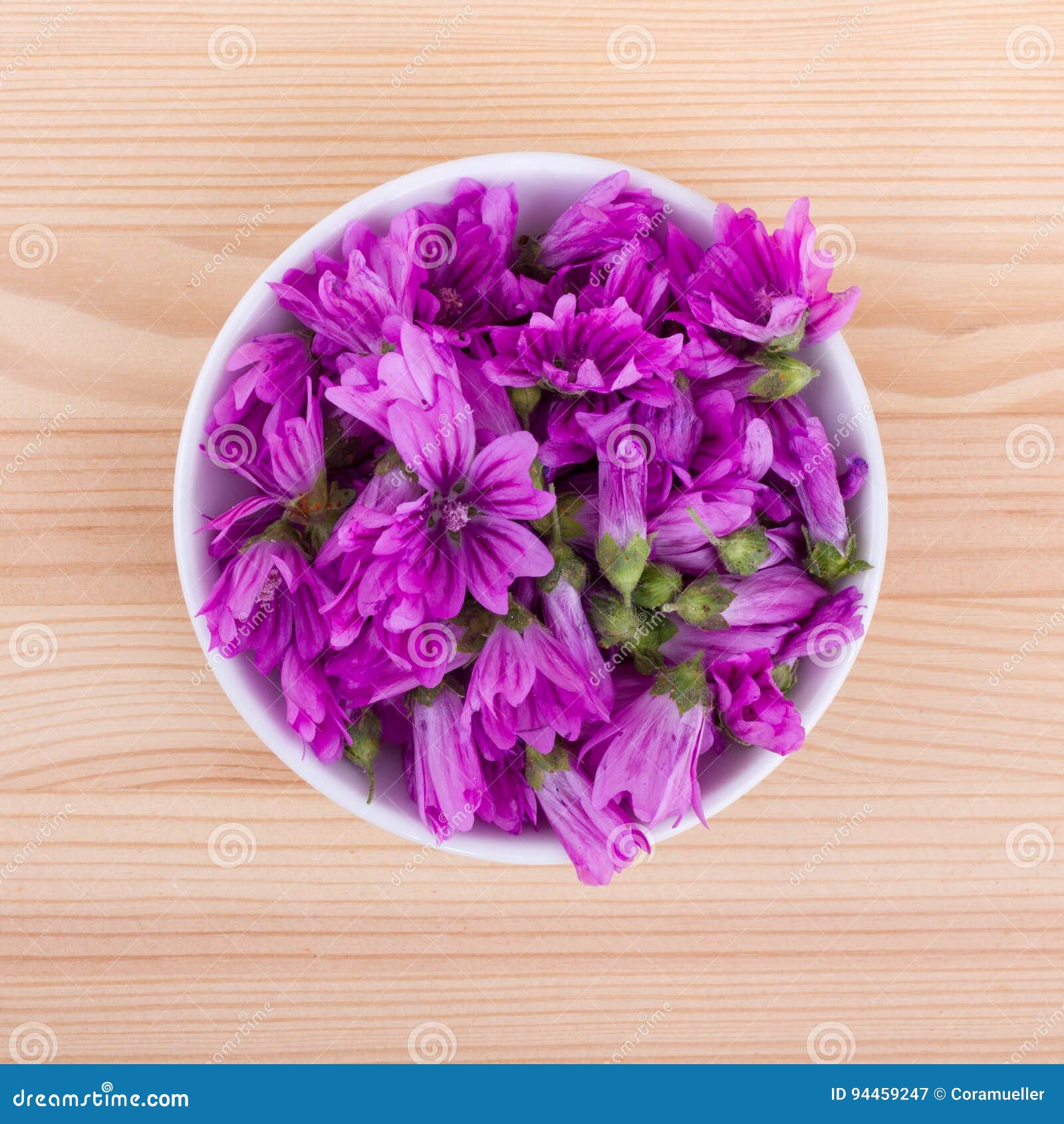 Common mallow stock image. Image of bowl, malvaceae, common - 94459247