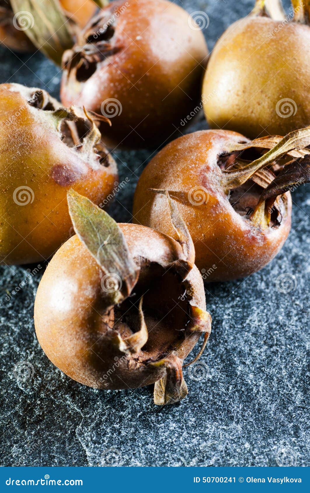 Common medlar fruit stock image. Image of color, healthy - 50700241