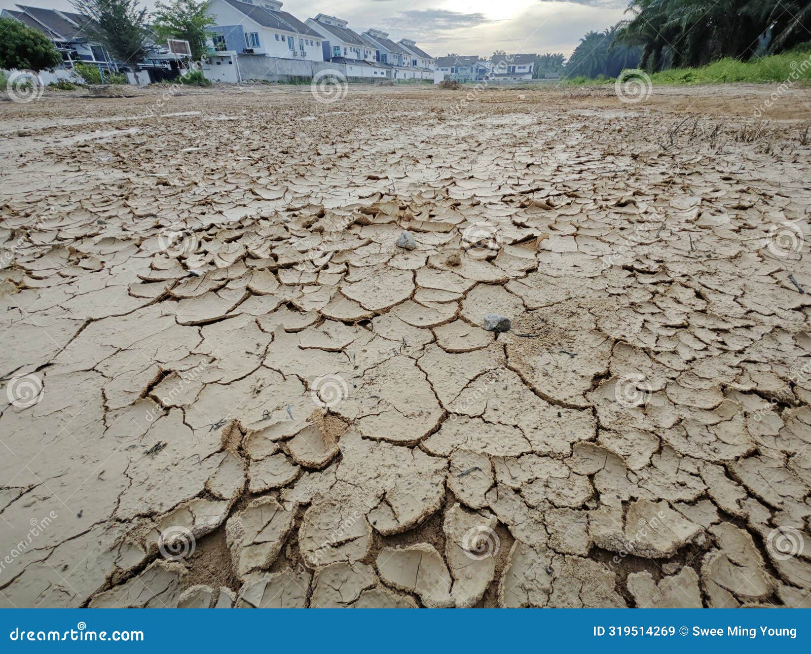 Common Natural Phenomenon on the Earth Surface Cracking. Stock Image ...
