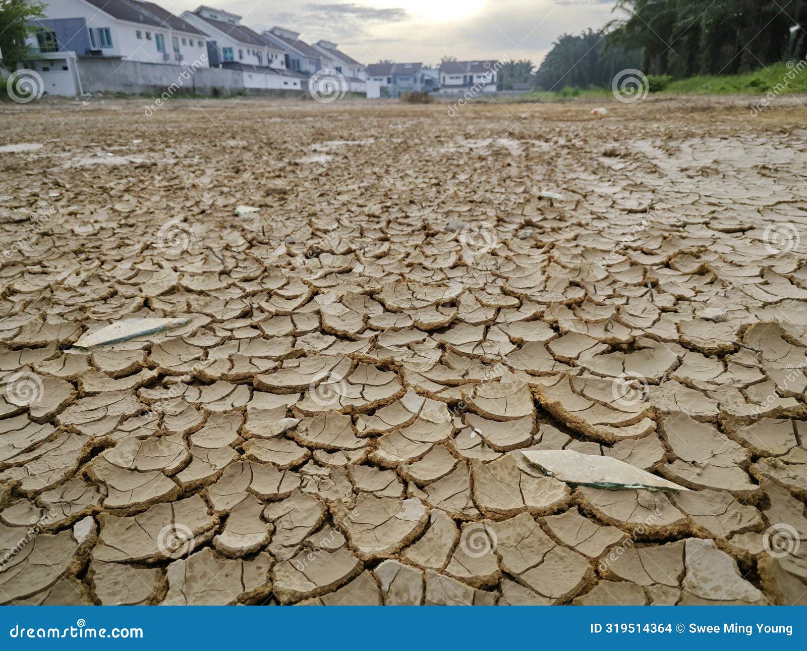 Common Natural Phenomenon on the Earth Surface Cracking. Stock Photo ...