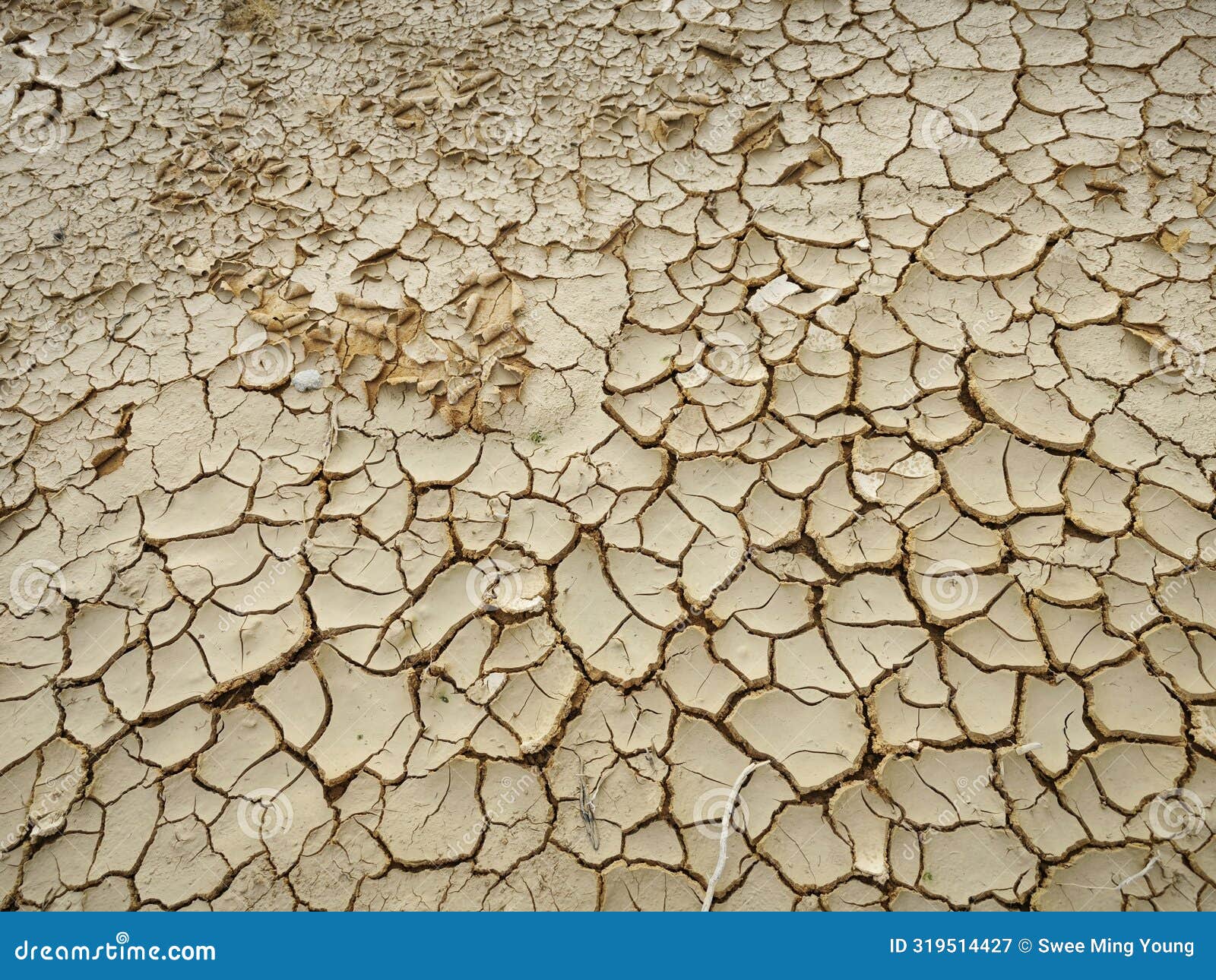 Common Natural Phenomenon on the Earth Surface Cracking. Stock Image ...