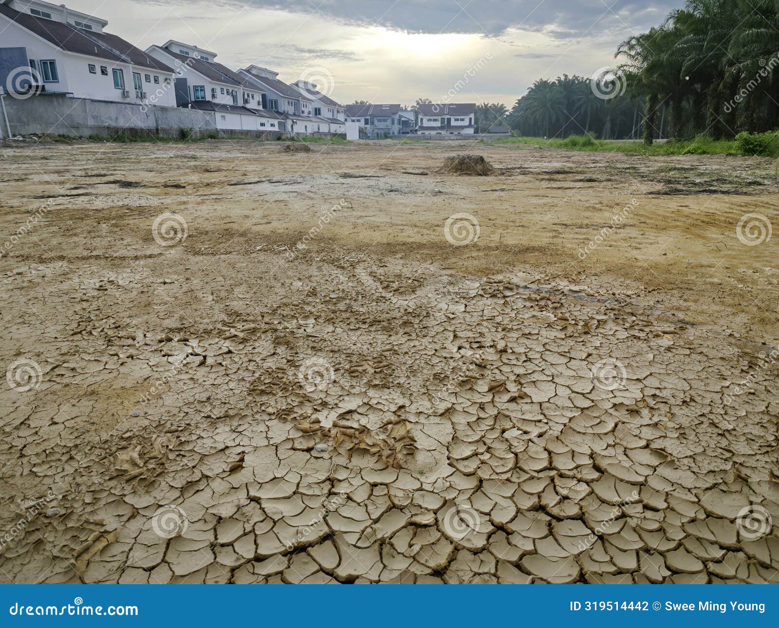 Common Natural Phenomenon on the Earth Surface Cracking. Stock Photo ...