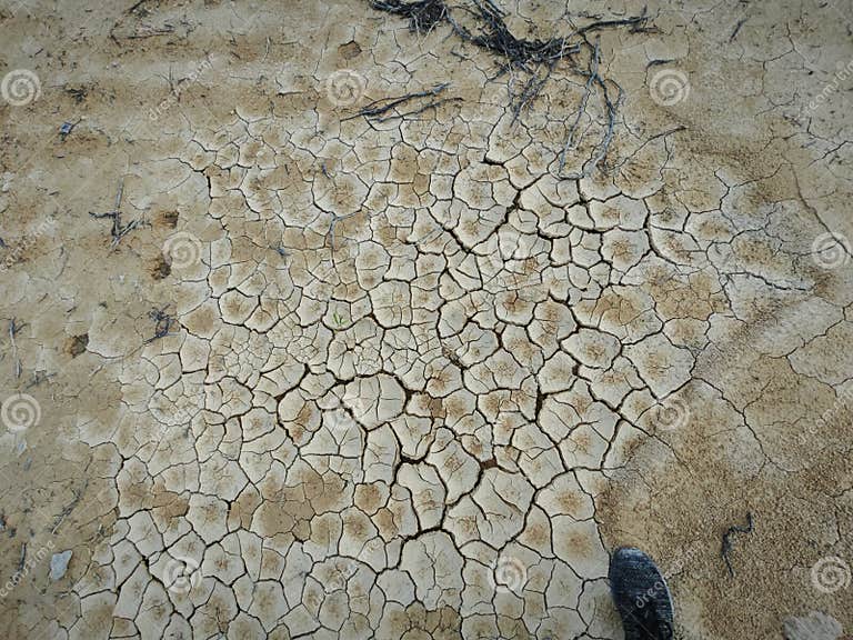 Common Natural Phenomenon on the Earth Surface Cracking. Stock Photo ...
