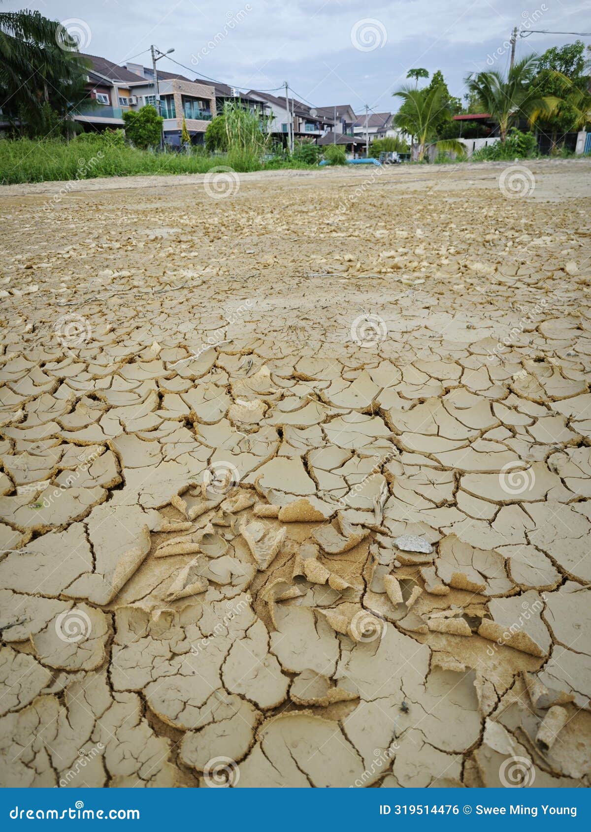 Common Natural Phenomenon on the Earth Surface Cracking. Stock Photo ...