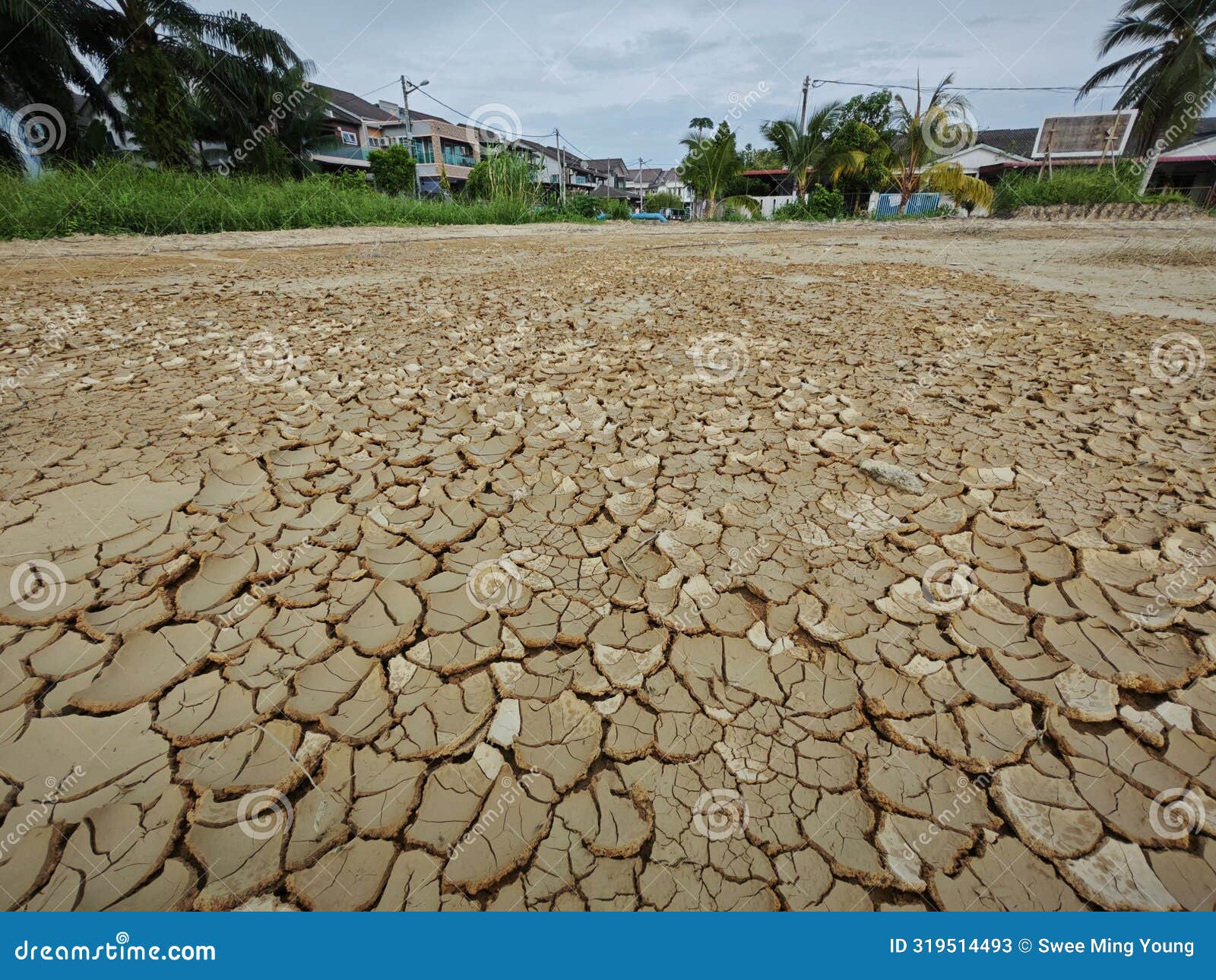 Common Natural Phenomenon on the Earth Surface Cracking. Stock Image ...