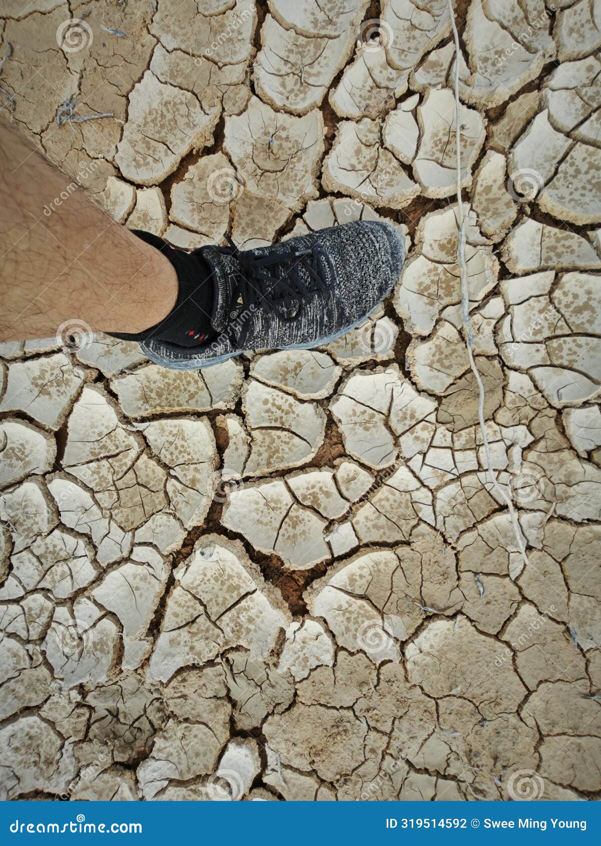 Common Natural Phenomenon on the Earth Surface Cracking. Stock Photo ...
