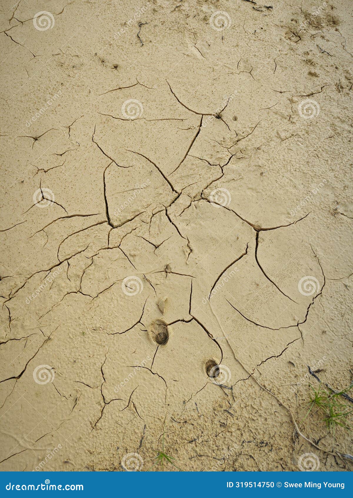 Common Natural Phenomenon on the Earth Surface Cracking. Stock Photo ...