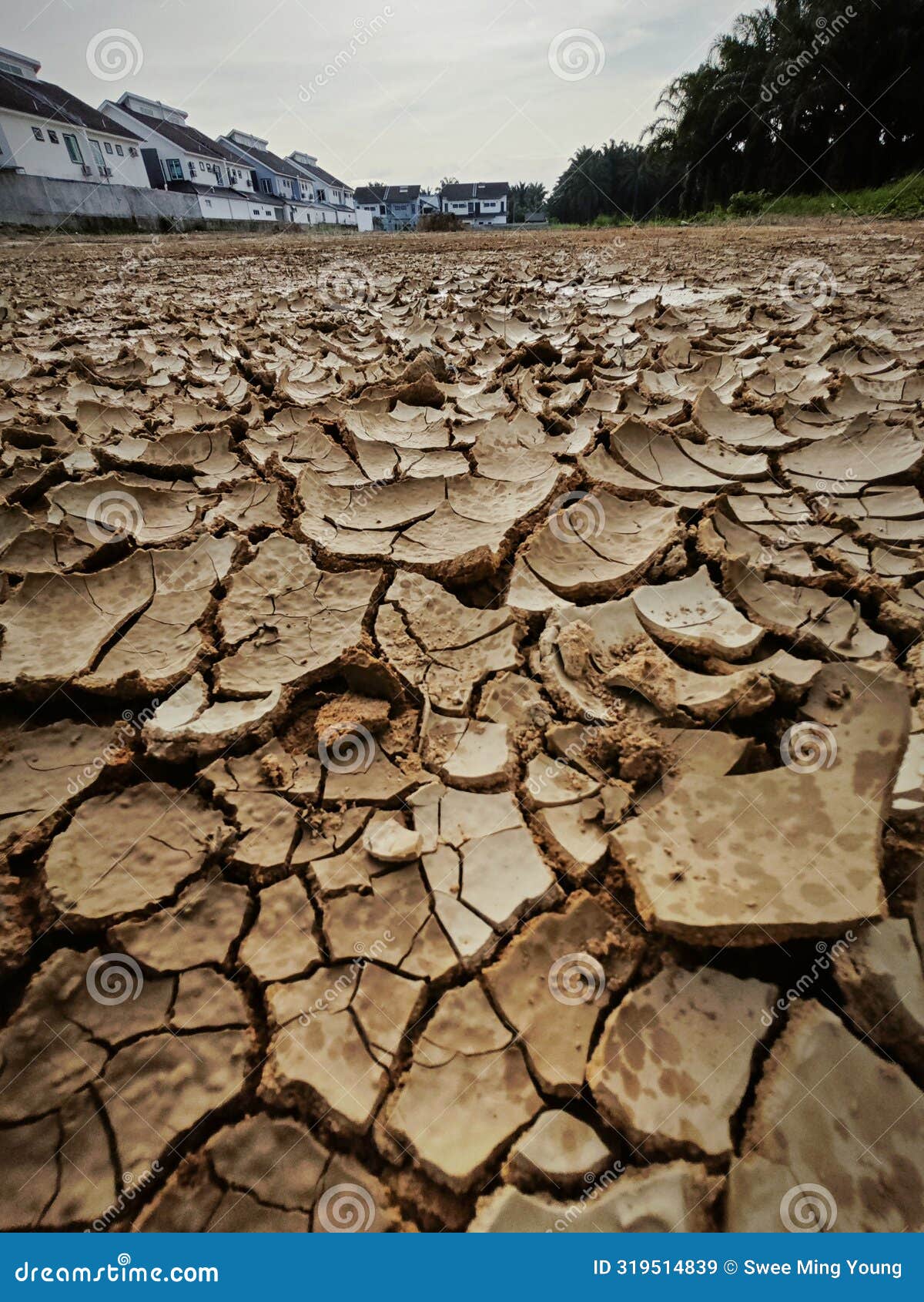 Common Natural Phenomenon on the Earth Surface Cracking. Stock Image ...