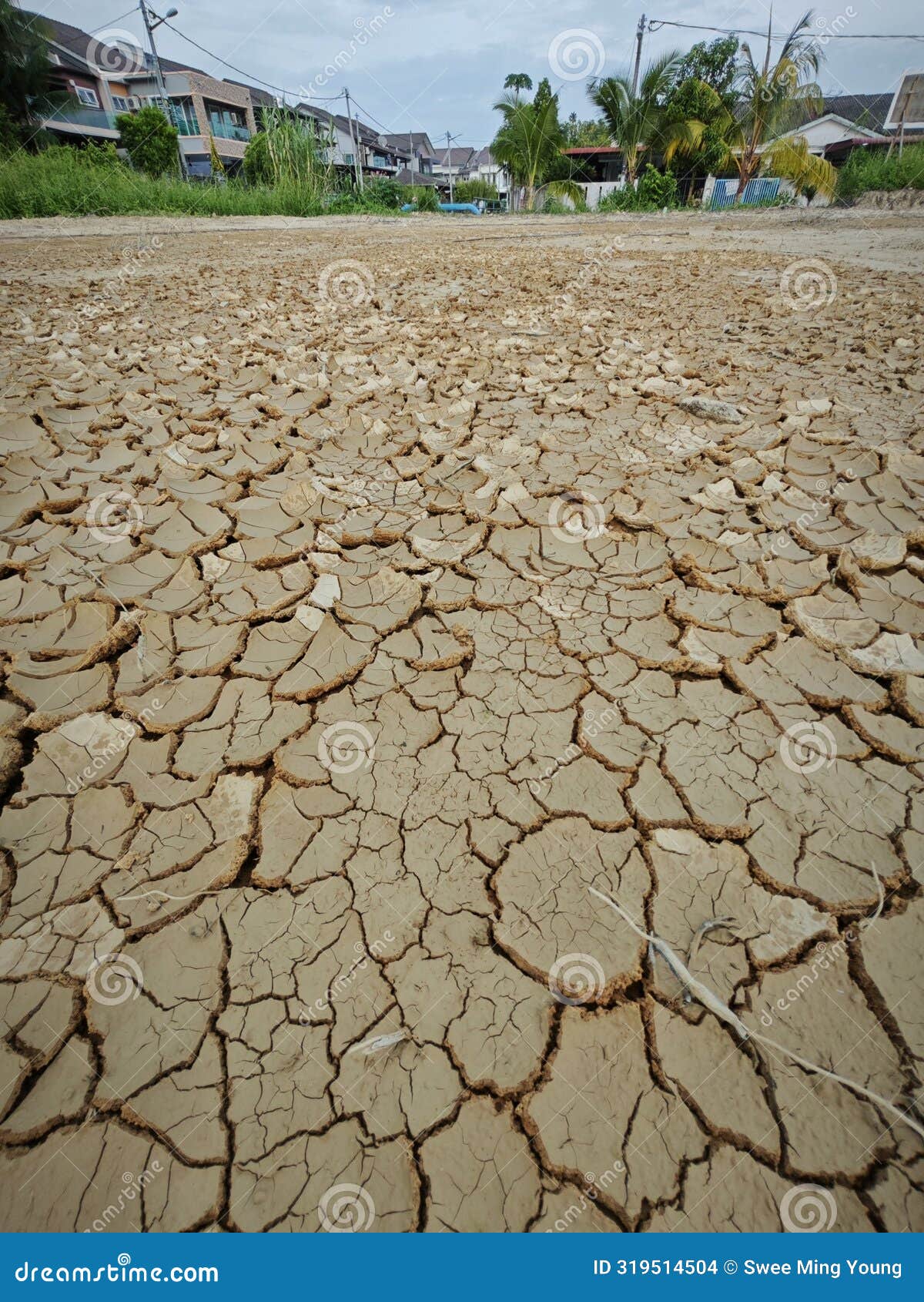 Common Natural Phenomenon on the Earth Surface Cracking. Stock Photo ...