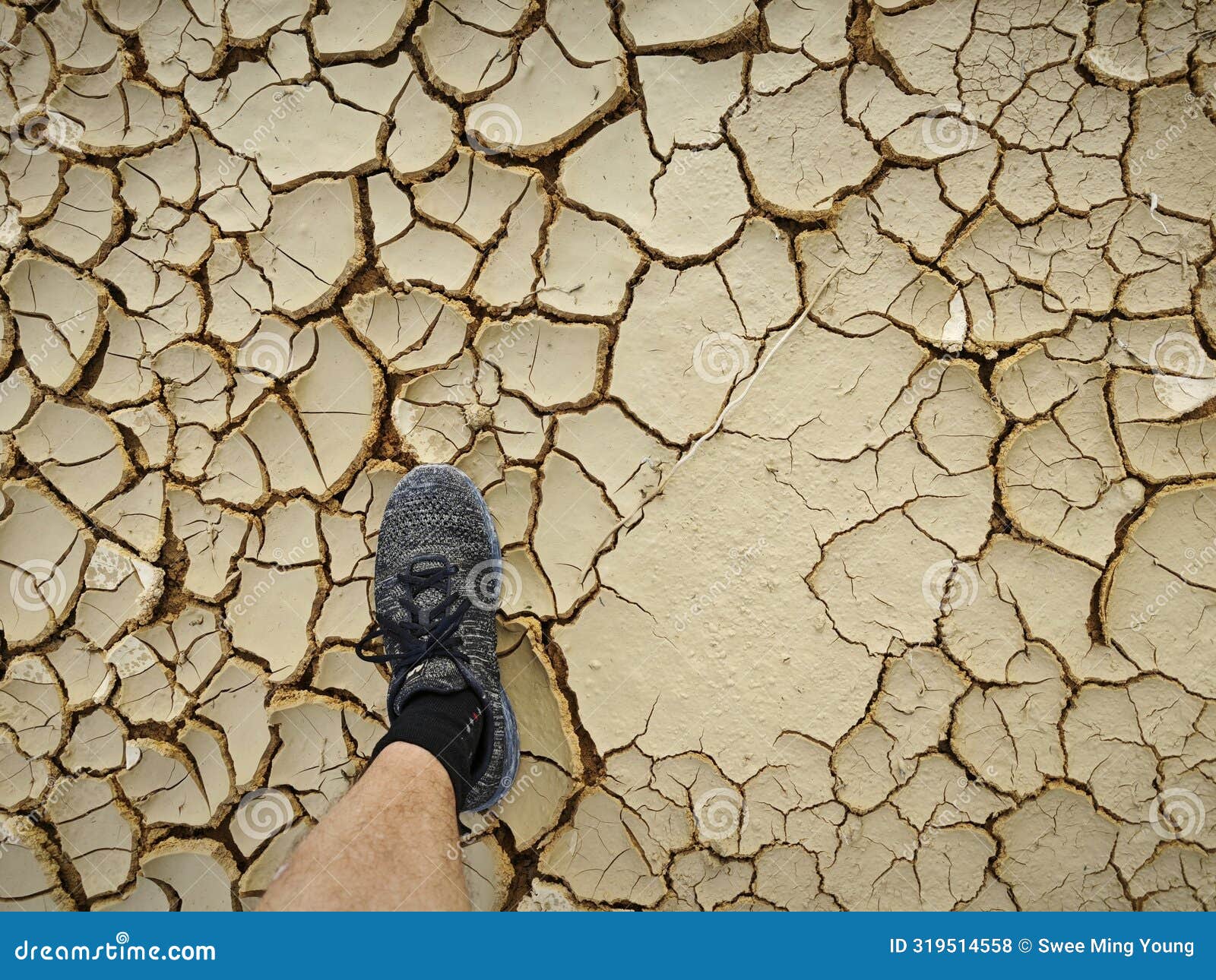 Common Natural Phenomenon on the Earth Surface Cracking. Stock Photo ...