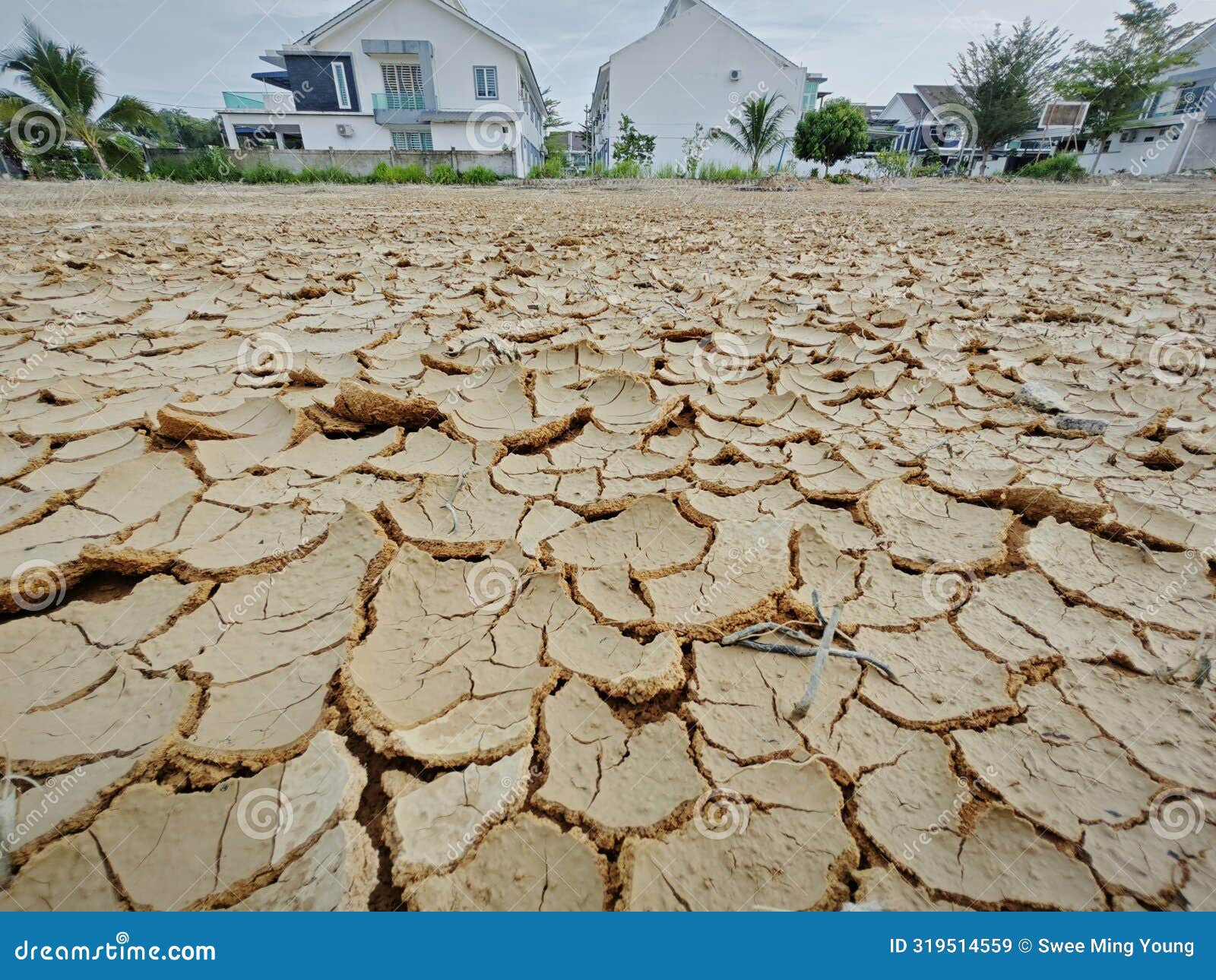 Common Natural Phenomenon on the Earth Surface Cracking. Stock Image ...