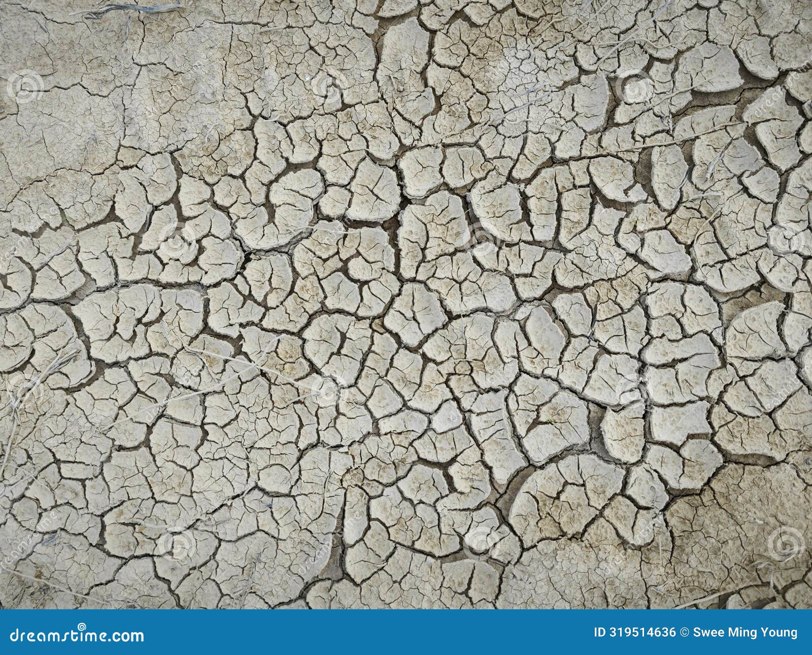Common Natural Phenomenon on the Earth Surface Cracking. Stock Photo ...