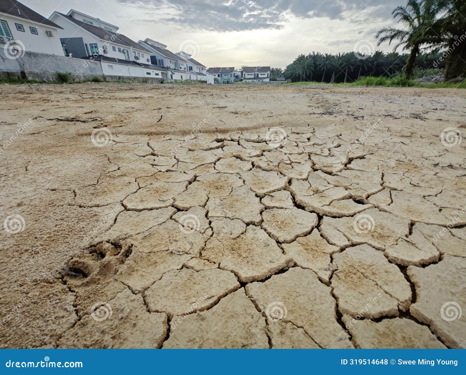 Common Natural Phenomenon on the Earth Surface Cracking. Stock Photo ...